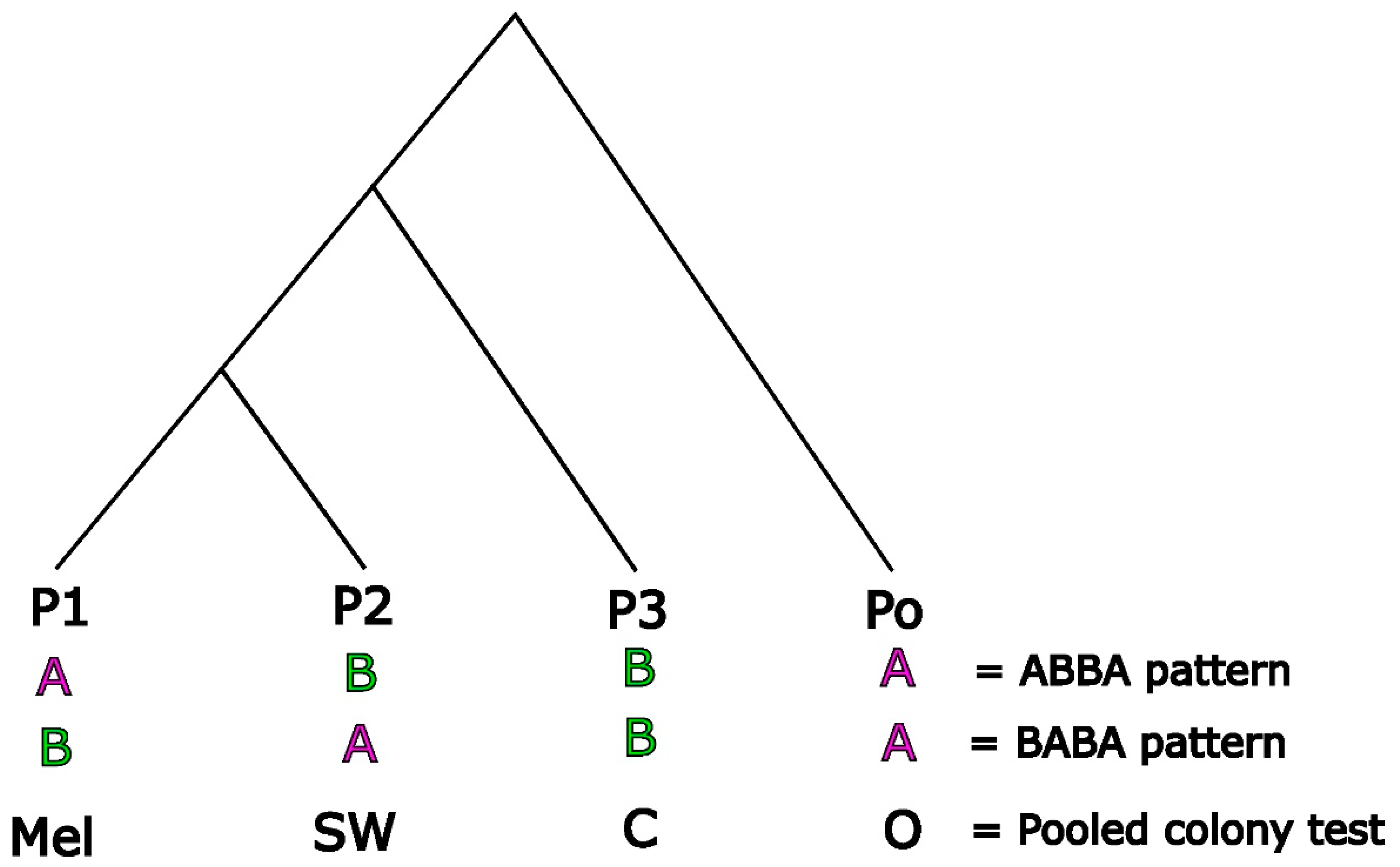 When One’s Not Enough: Colony Pool-Seq Outperforms Individual-Based ...