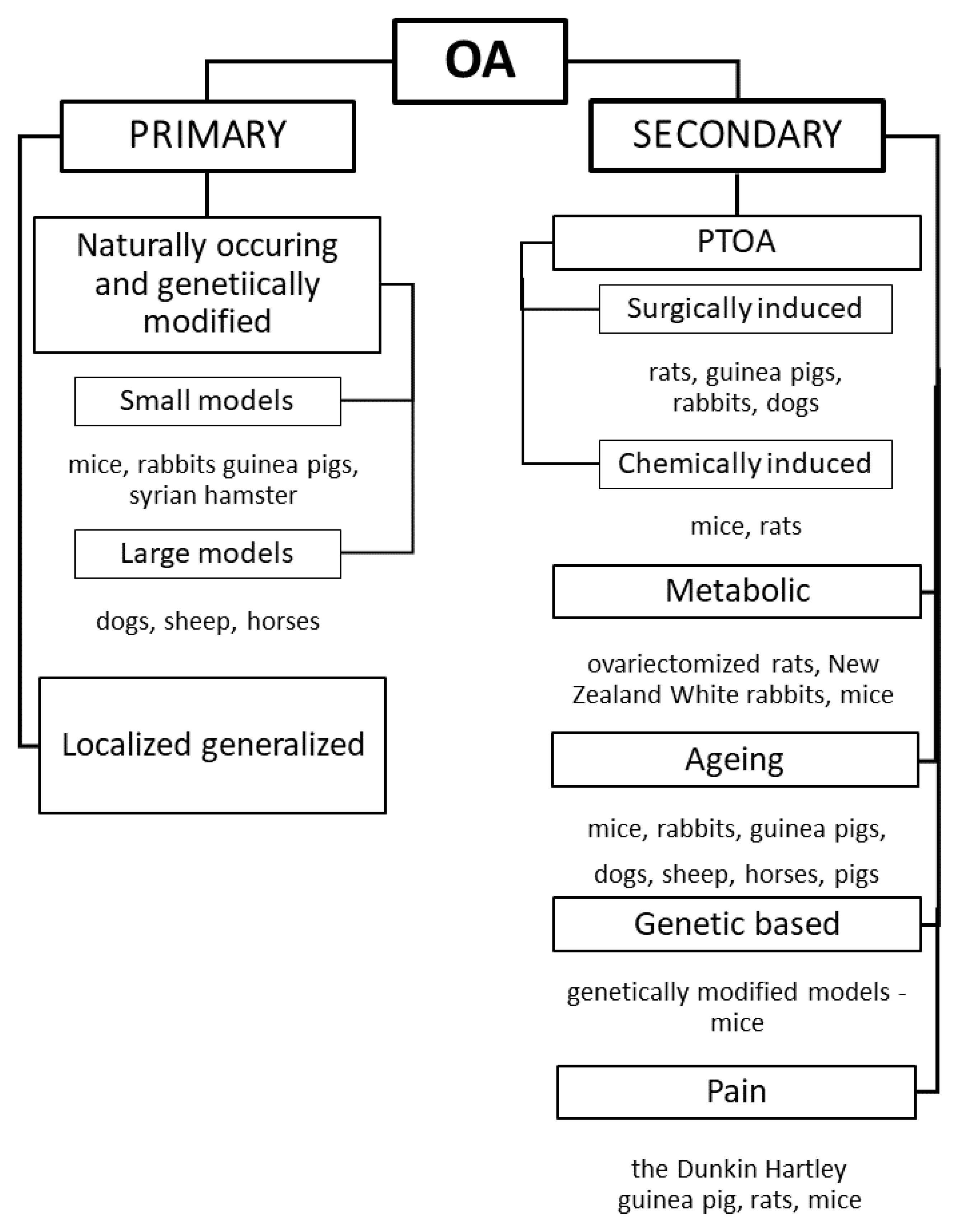 Osteoarthritis: Pathogenesis, Animal Models, and New Regenerative ...