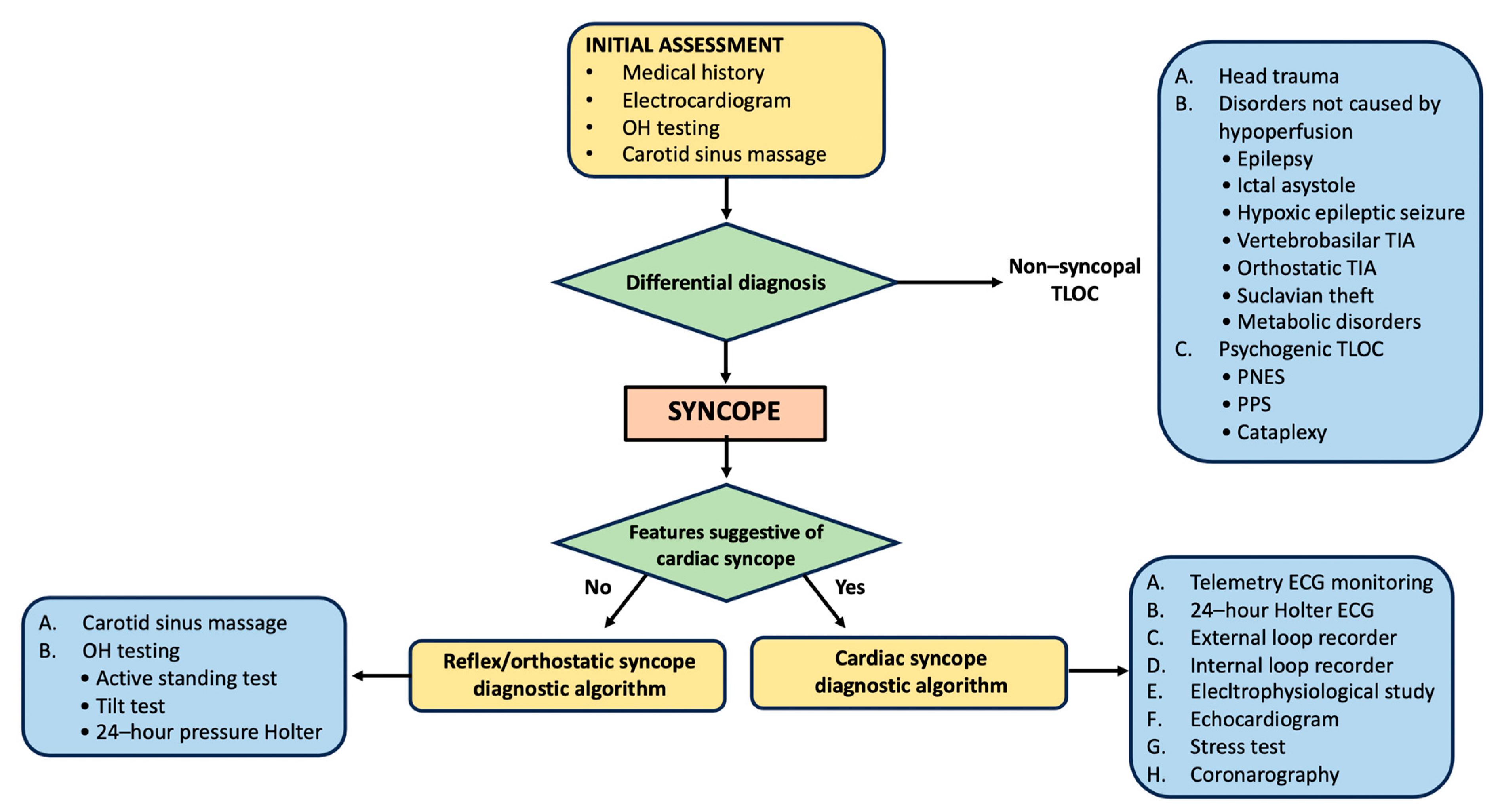 Recent Advances and Future Directions in Syncope Management: A ...