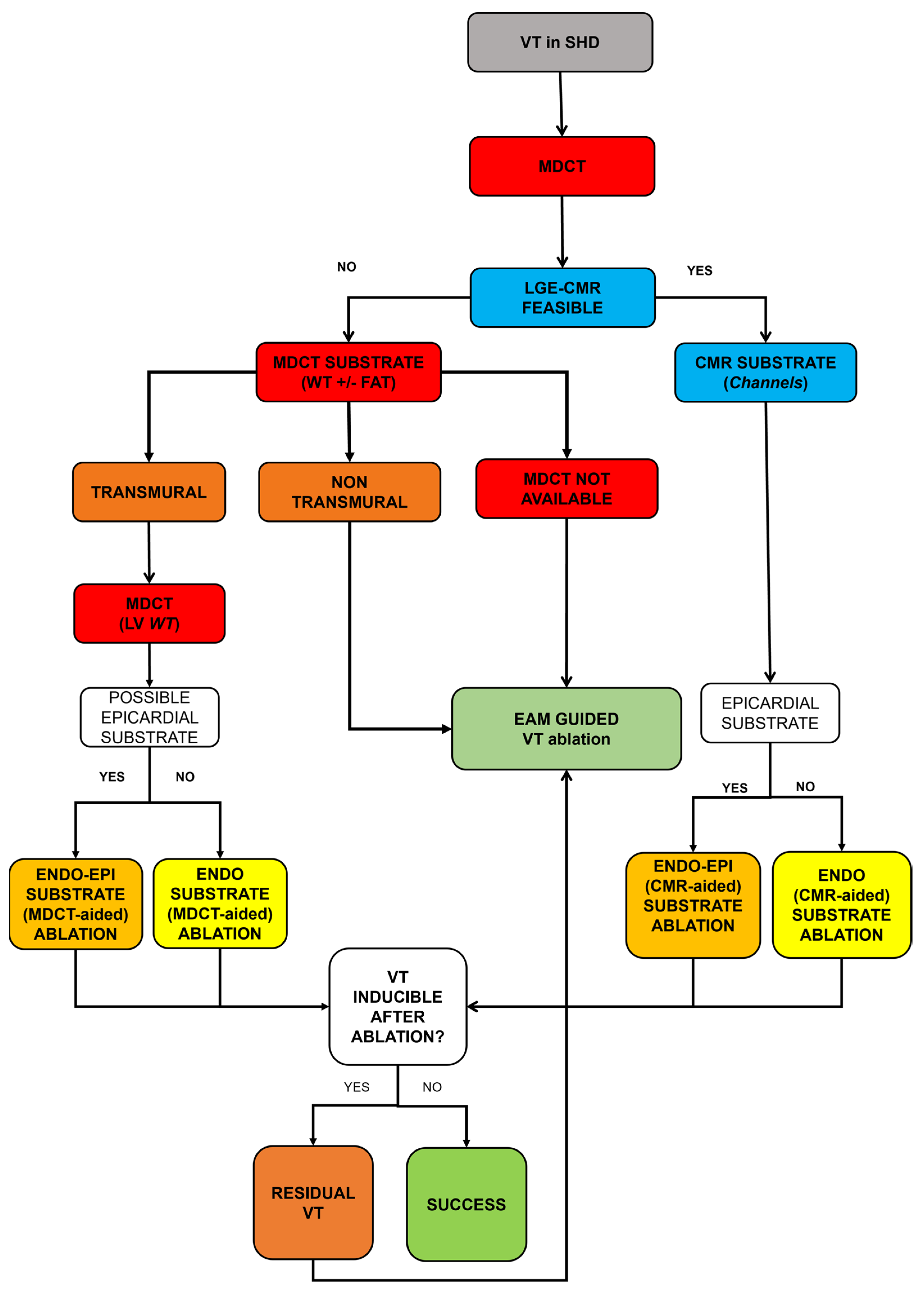 Approaching Ventricular Tachycardia Ablation in 2024: An Update on ...