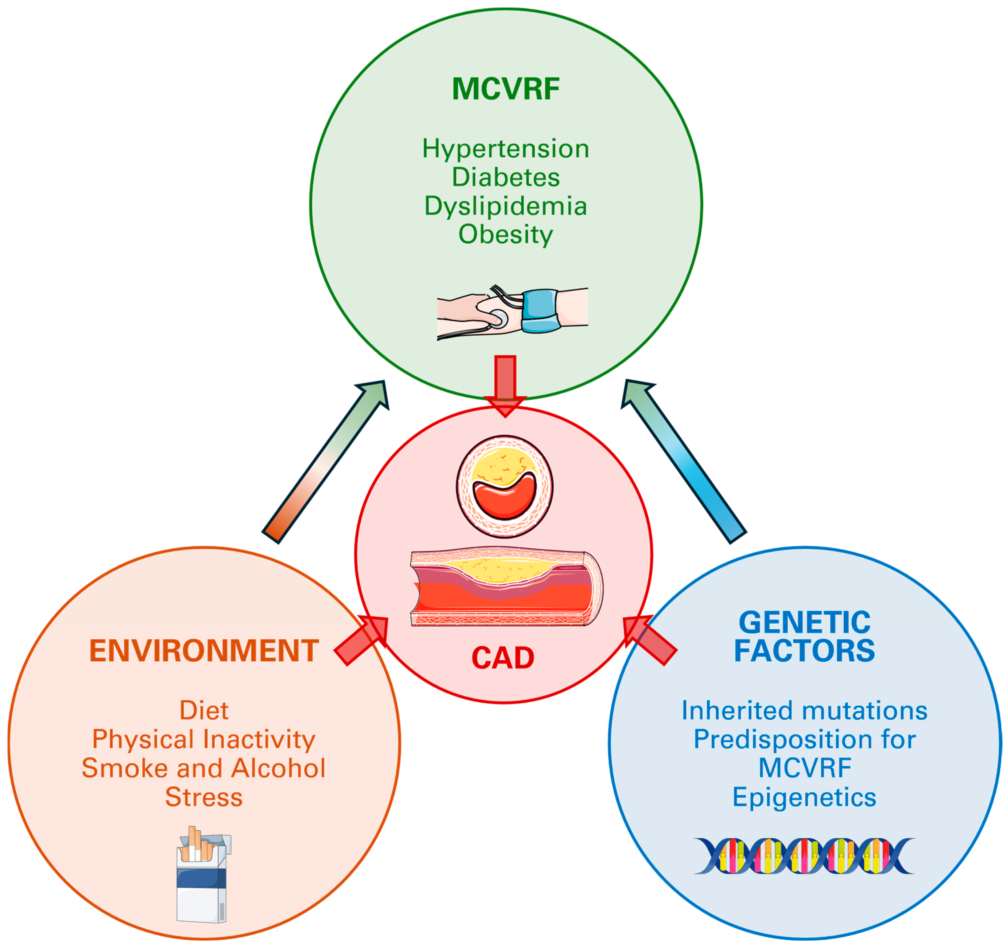 Coronary Artery Disease, Family History, and Screening Perspectives: An ...