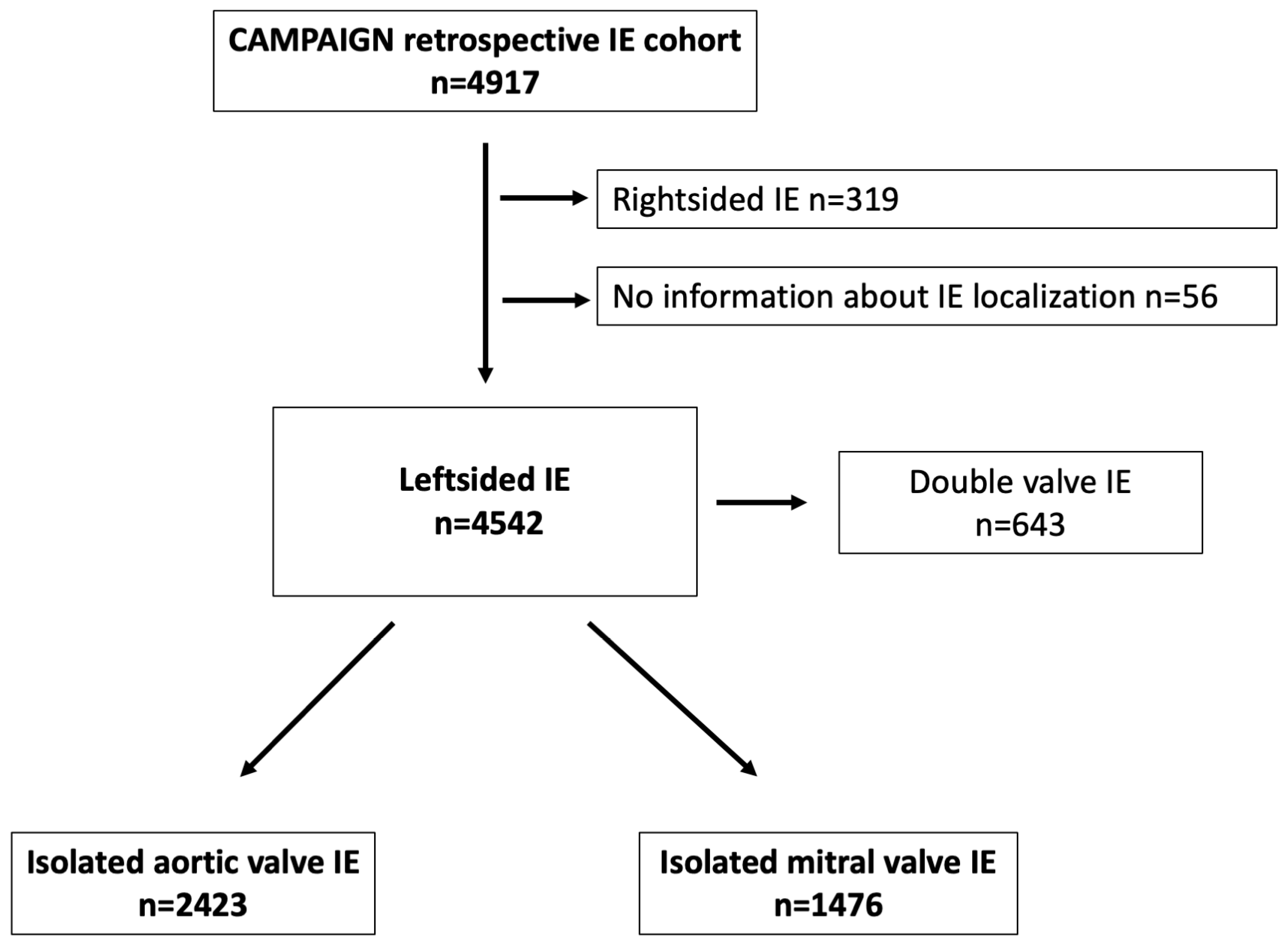 Aortic and Mitral Valve Endocarditis—Simply Left-Sided Endocarditis or ...