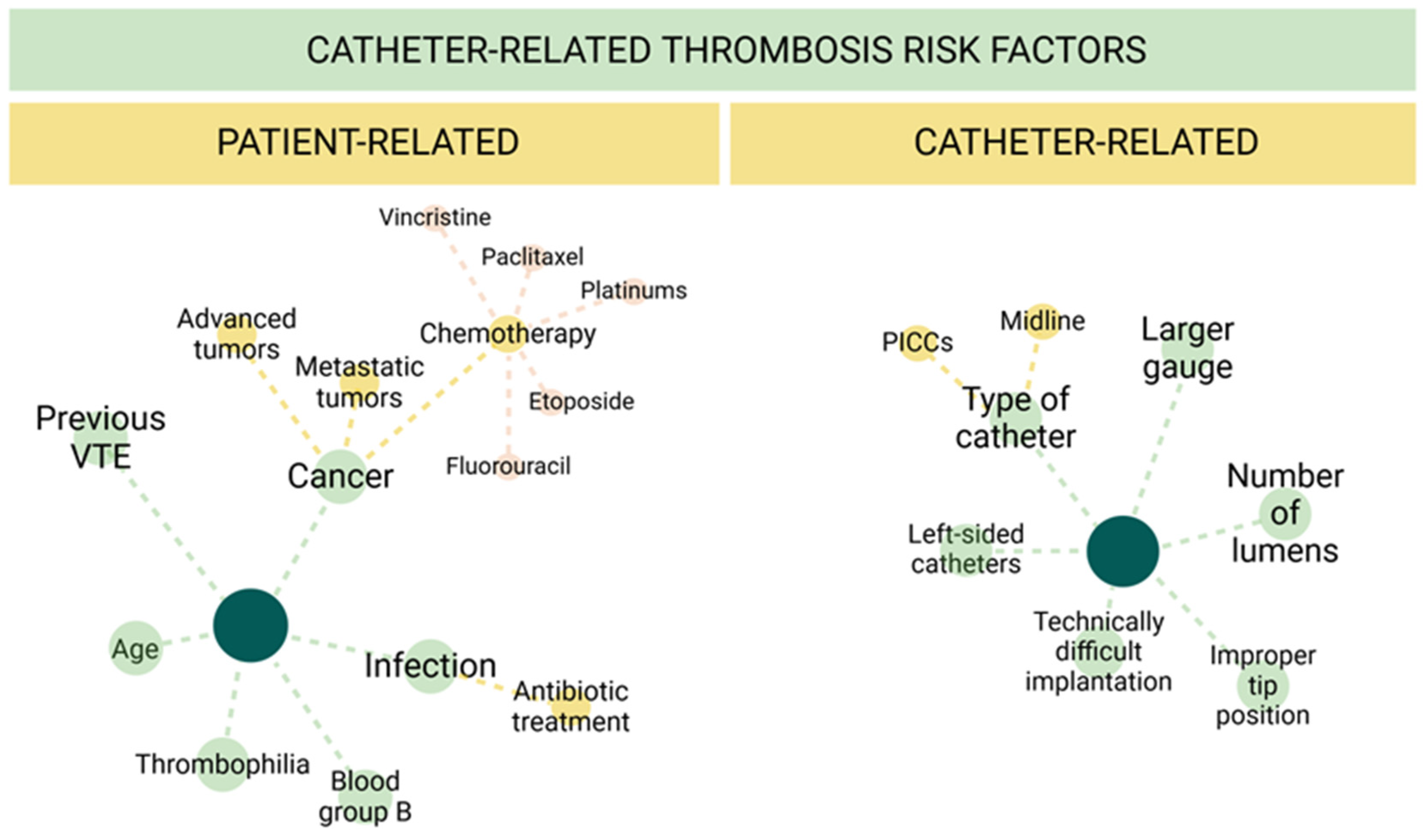 A Comprehensive Review of Catheter-Related Thrombosis | MDPI