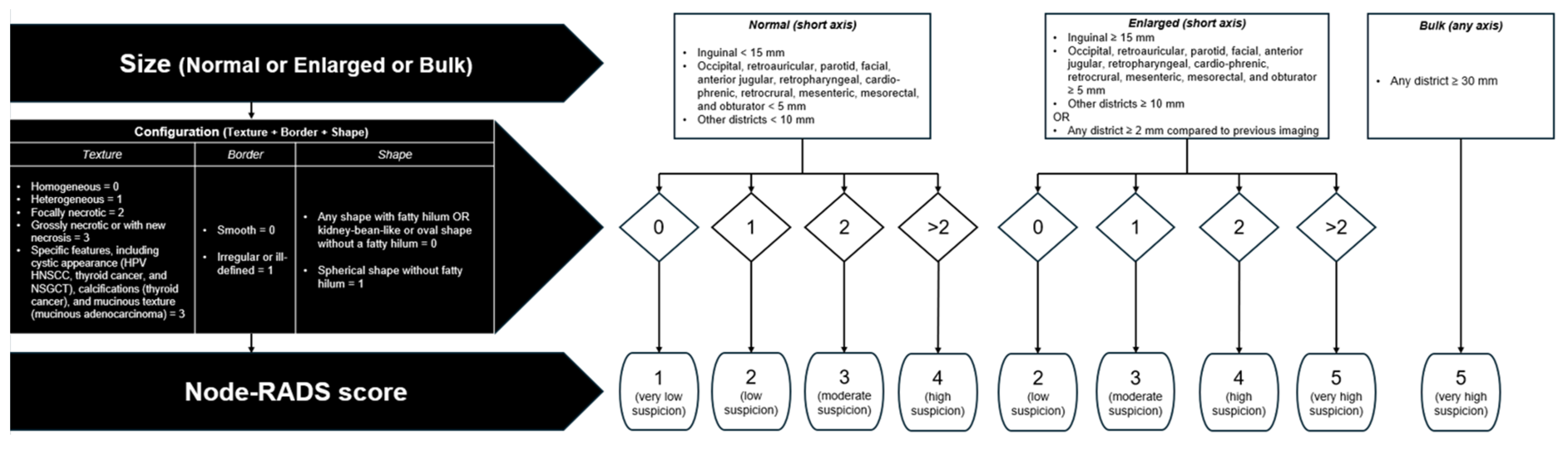 Node Reporting and Data System 1.0 (Node-RADS) for the Assessment of ...