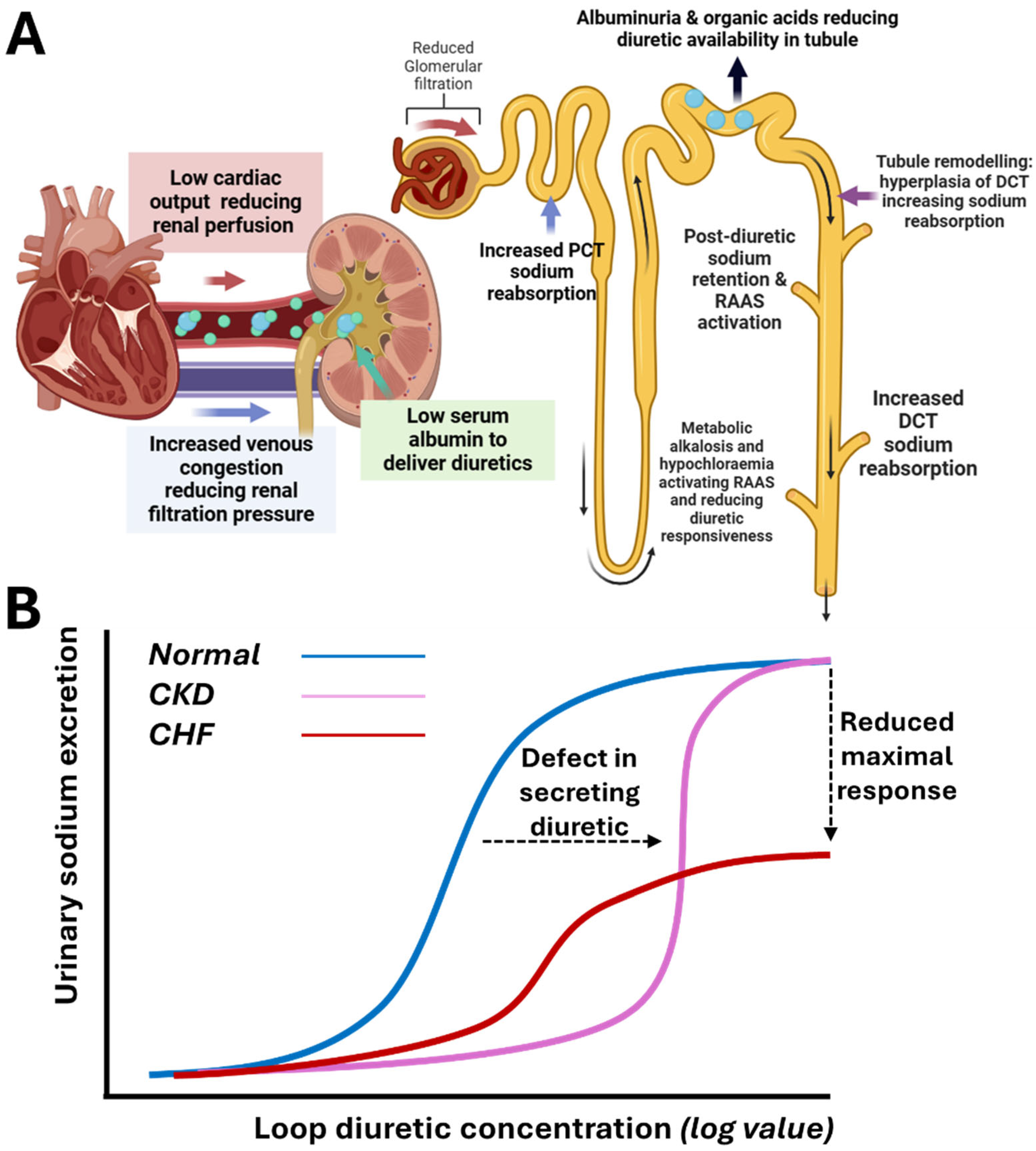 A Pragmatic Approach to Acute Cardiorenal Syndrome: Diagnostic ...
