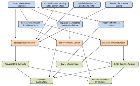 Why High-Volume Post-Dilution Hemodiafiltration Should Be the New ...