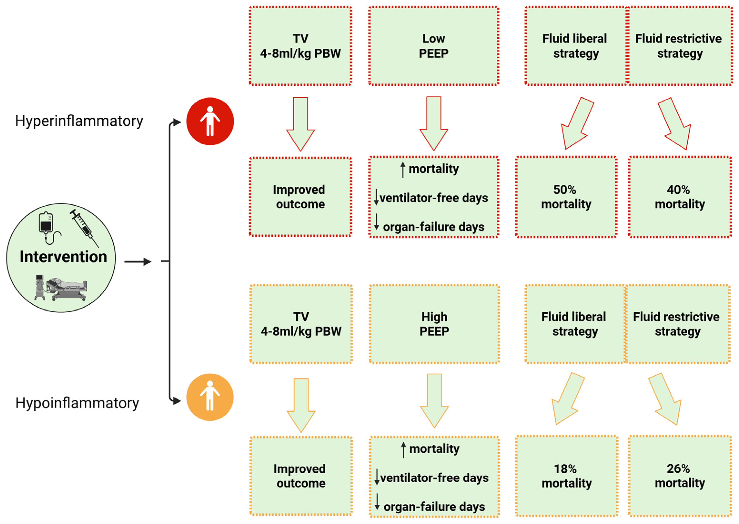 Acute Respiratory Distress Syndrome: Pathophysiological Insights ...