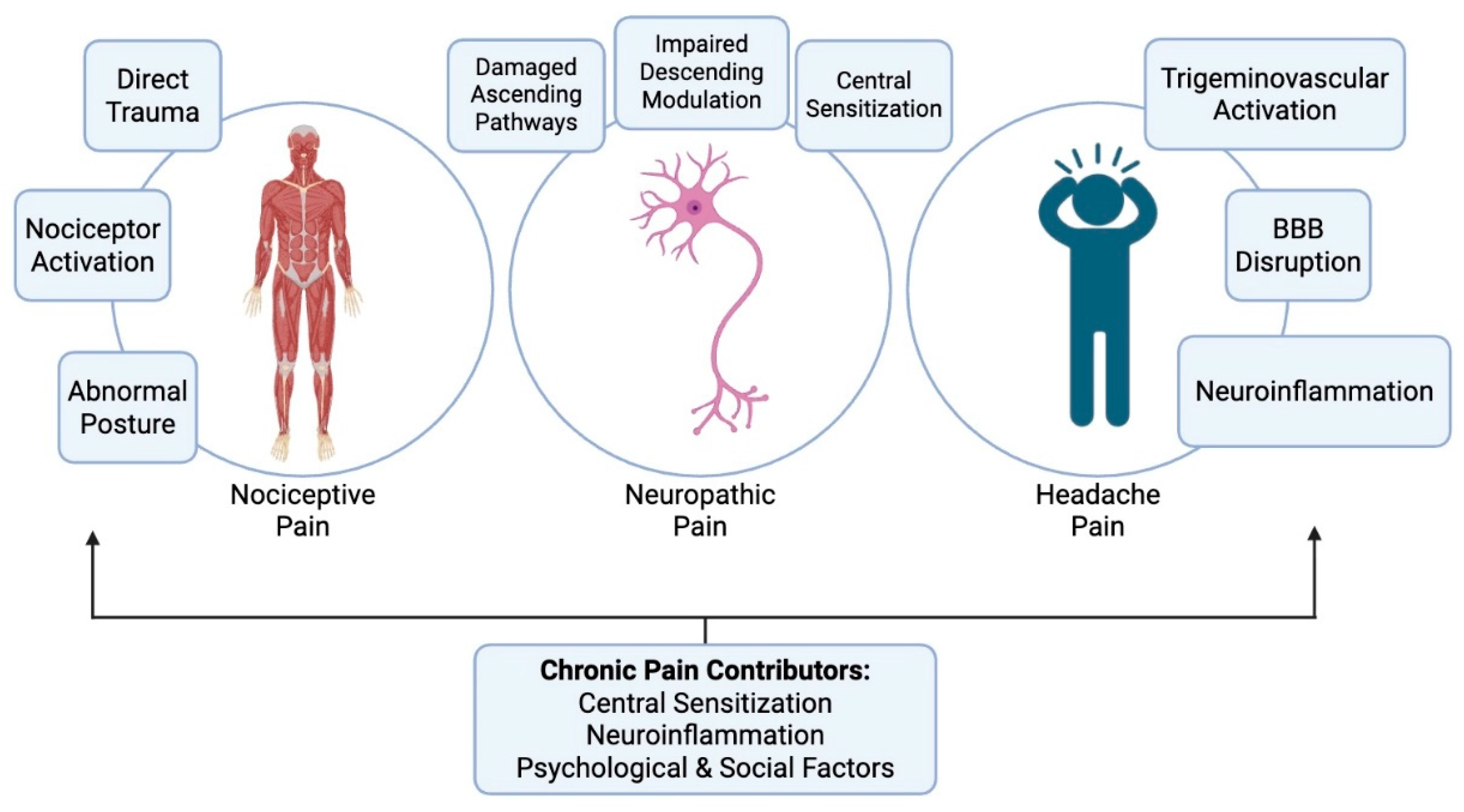 Pharmacologic and Nonpharmacologic Pain Management in Patients with ...