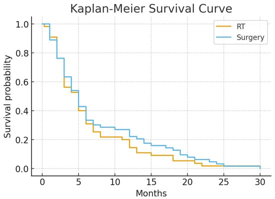 Clinical Outcomes of Surgery Versus Radiotherapy in Bilsky Grade 3 ...