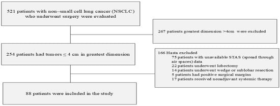 Prognostic Value of STAS, Lymph Node Metastasis, and VPI in NSCLC ≤ 4 ...