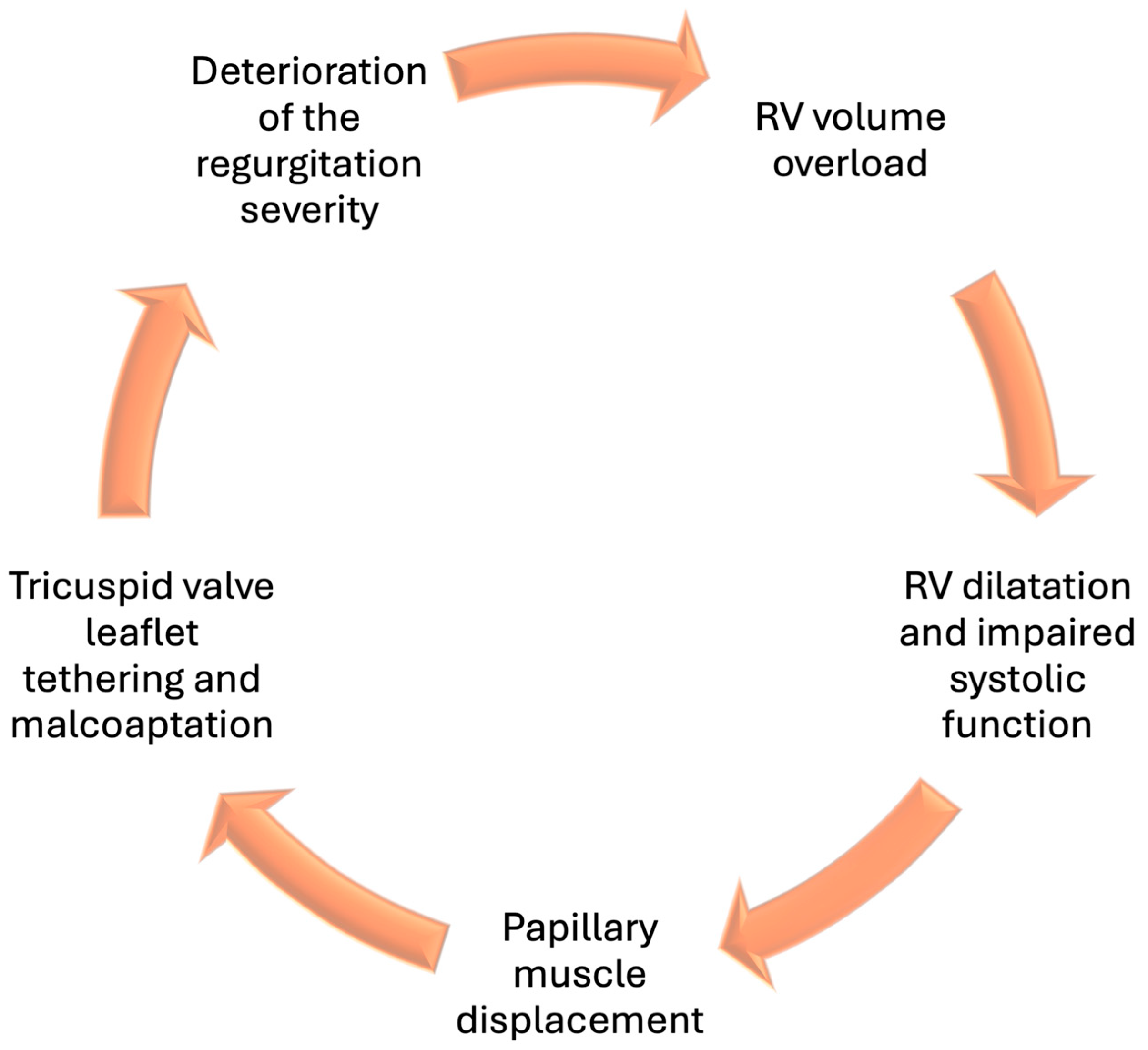 Tricuspid Transcatheter Edge-to-Edge Repair at a Crossroads: Prognosis ...