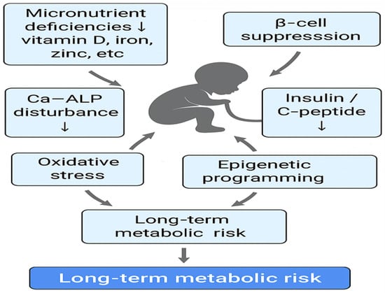 Umbilical Cord Biomarkers of Nutritional and Metabolic Status in ...