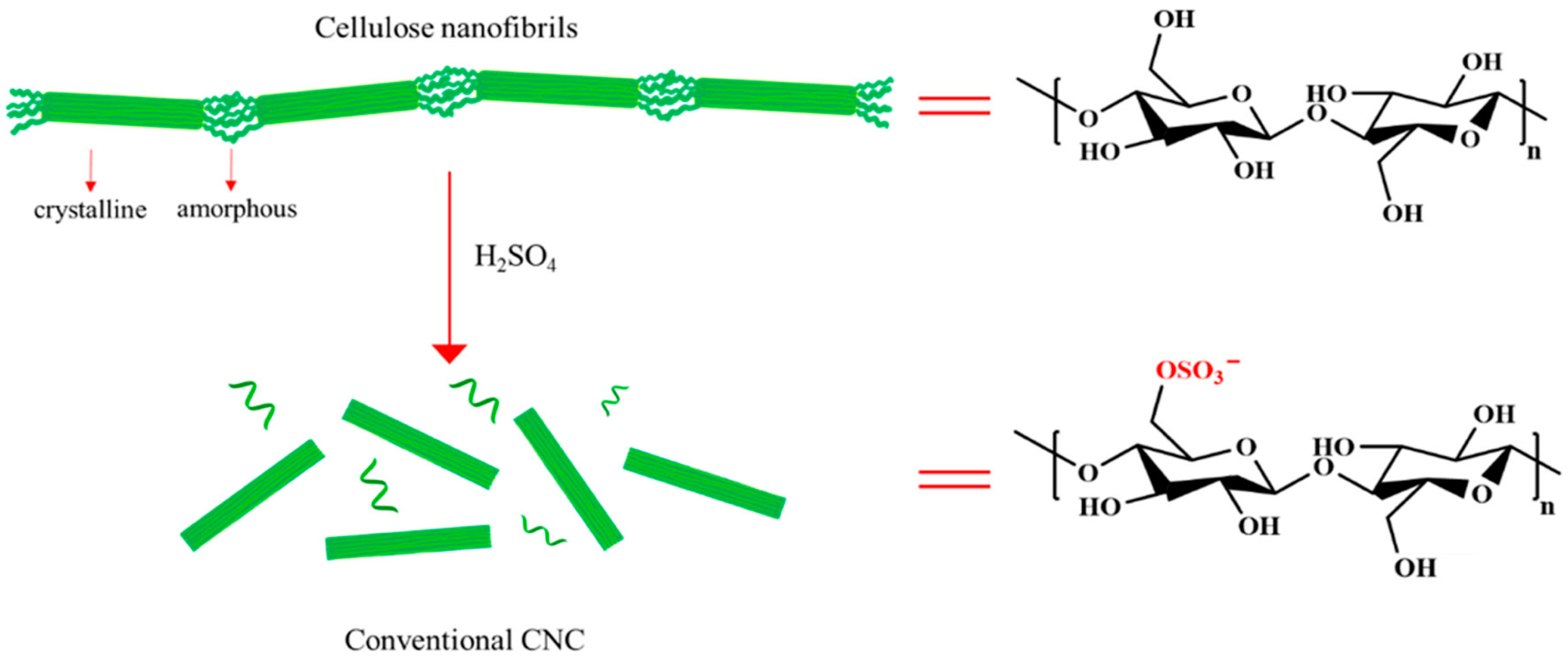 Advancements in Hybrid Cellulose-Based Films: Innovations and ...