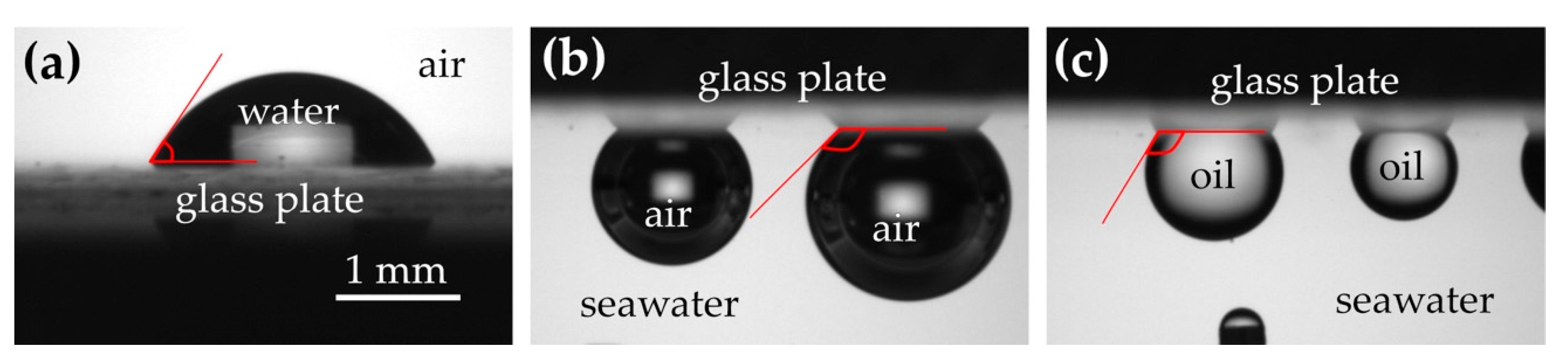 Substrate Selection of Ascidian Larva: Wettability and Nano-Structures ...