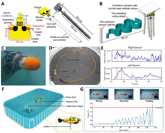 Potential Applications of Whisker Sensors in Marine Science and ...