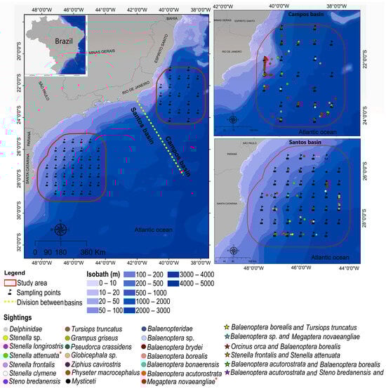 Cetaceans Change Their Acoustic Behavior During the Airgun Noise of ...