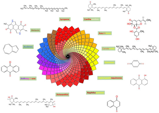 Fungal Pigments: Carotenoids, Riboflavin, and Polyketides with Diverse ...