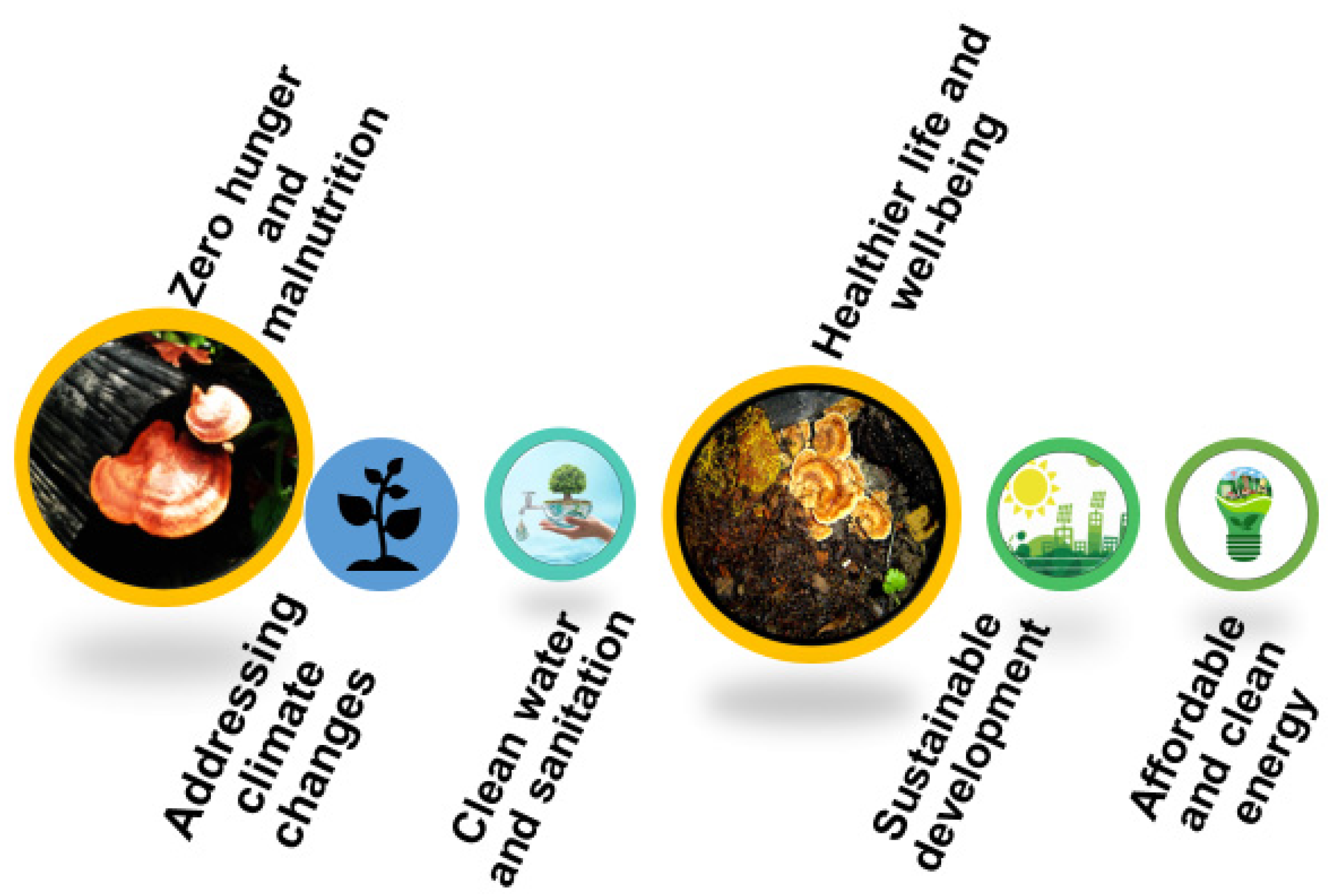Advanced Fungal Biotechnologies in Accomplishing Sustainable ...