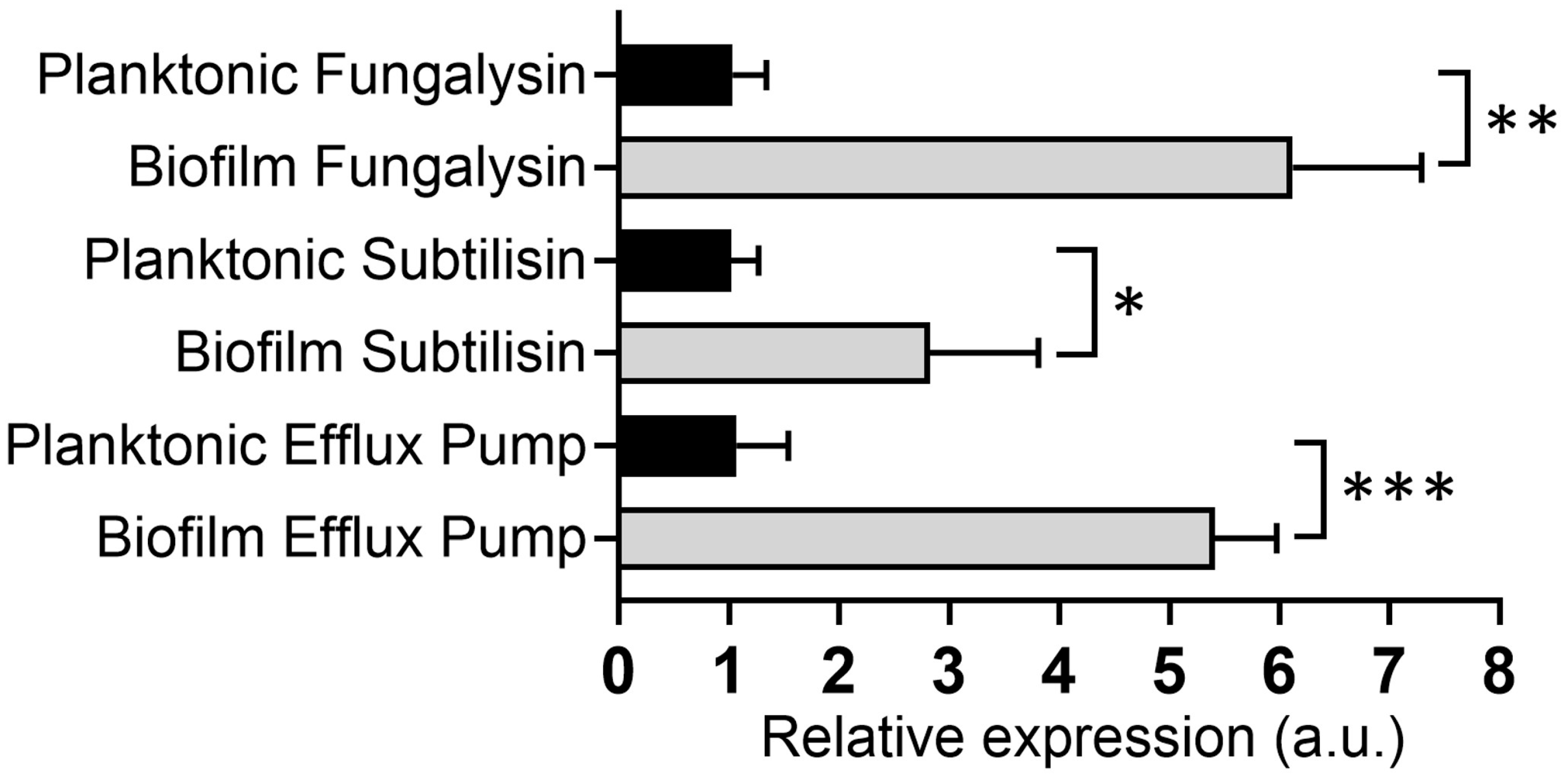Characterization of Biofilm Formation by the Dermatophyte Nannizzia ...