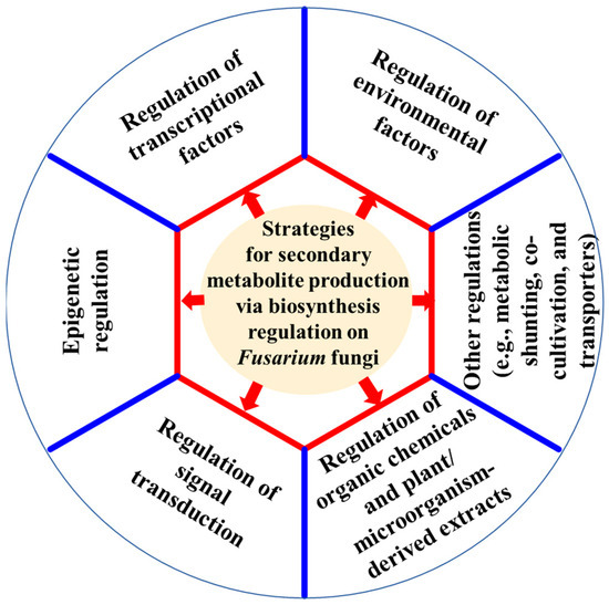 Biosynthesis Regulation of Secondary Metabolite Production in Fusarium ...