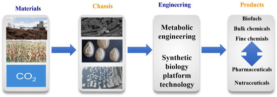 Metabolic Engineering of Yeasts: A Key Cell Factory Platform for ...
