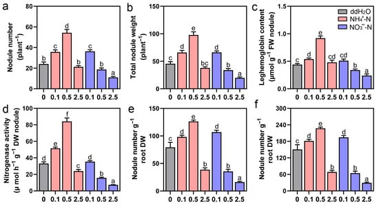 Fungal Endophyte Comprehensively Orchestrates Nodulation and Nitrogen ...