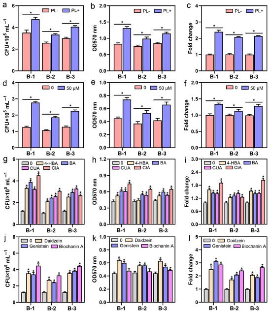 Fungal Endophyte Comprehensively Orchestrates Nodulation and Nitrogen ...