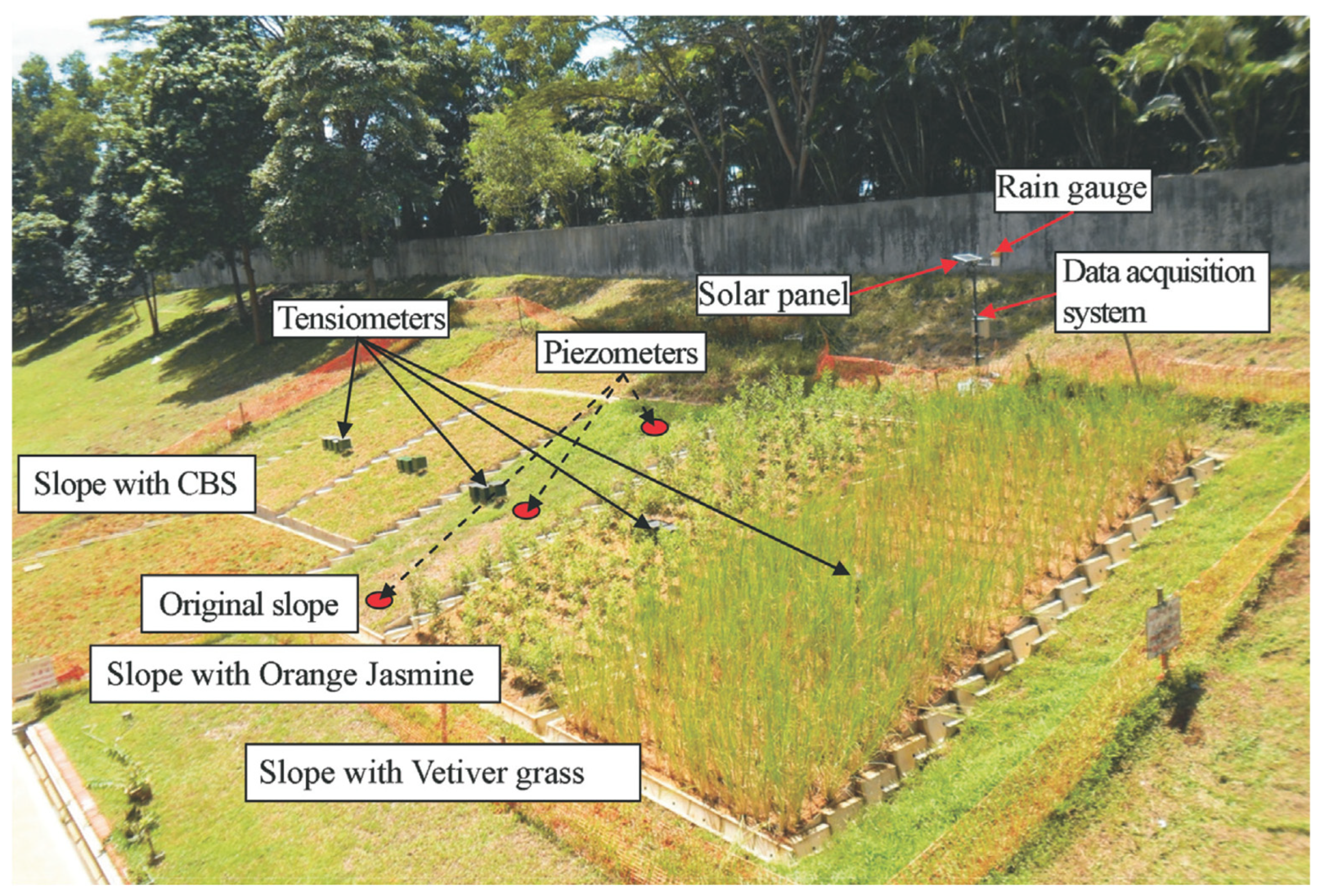 Harnessing Green Cover Systems for Effective Slope Stabilization in ...