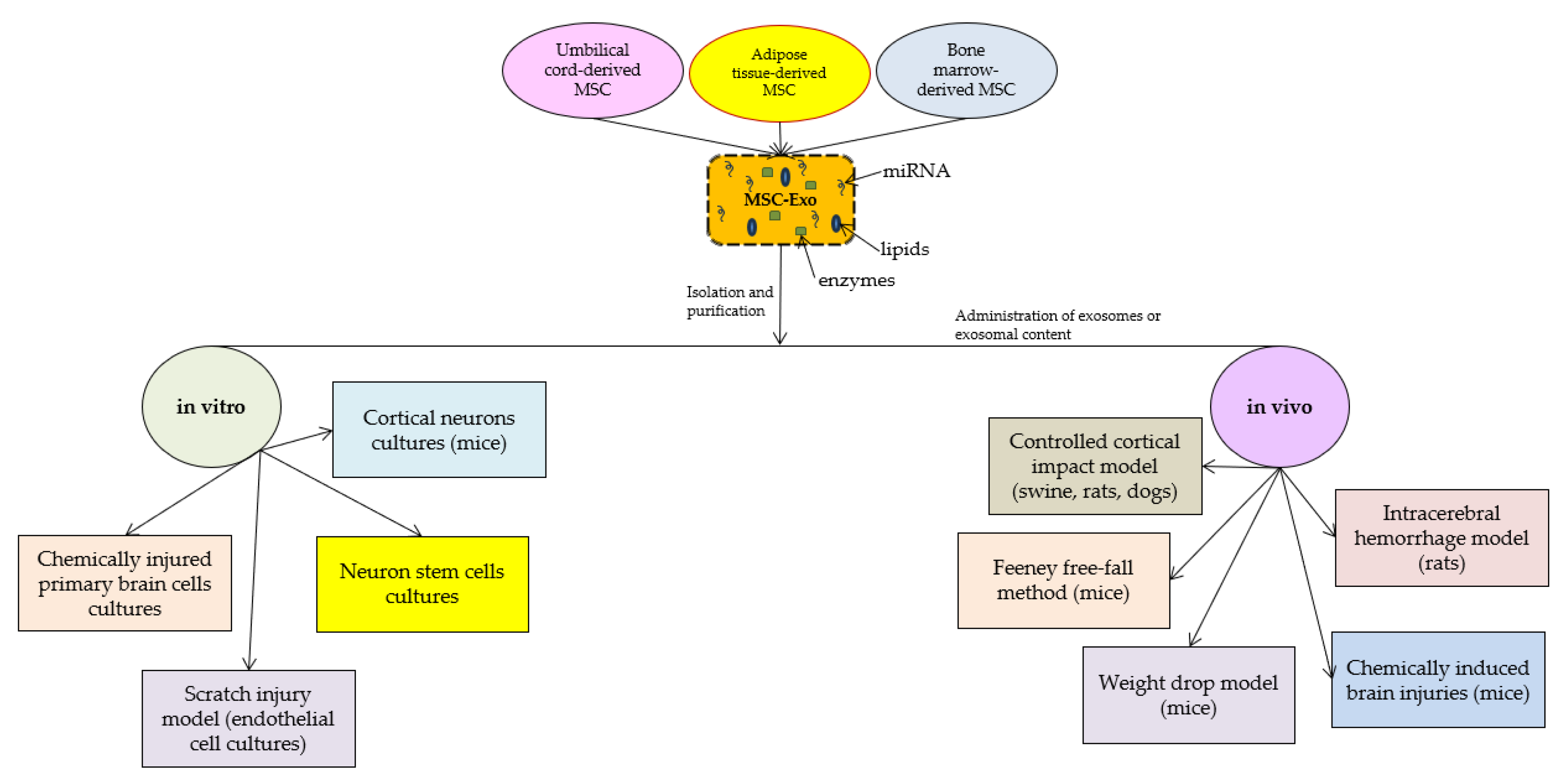 The Role of Microglial Exosomes and miR-124-3p in Neuroinflammation and ...