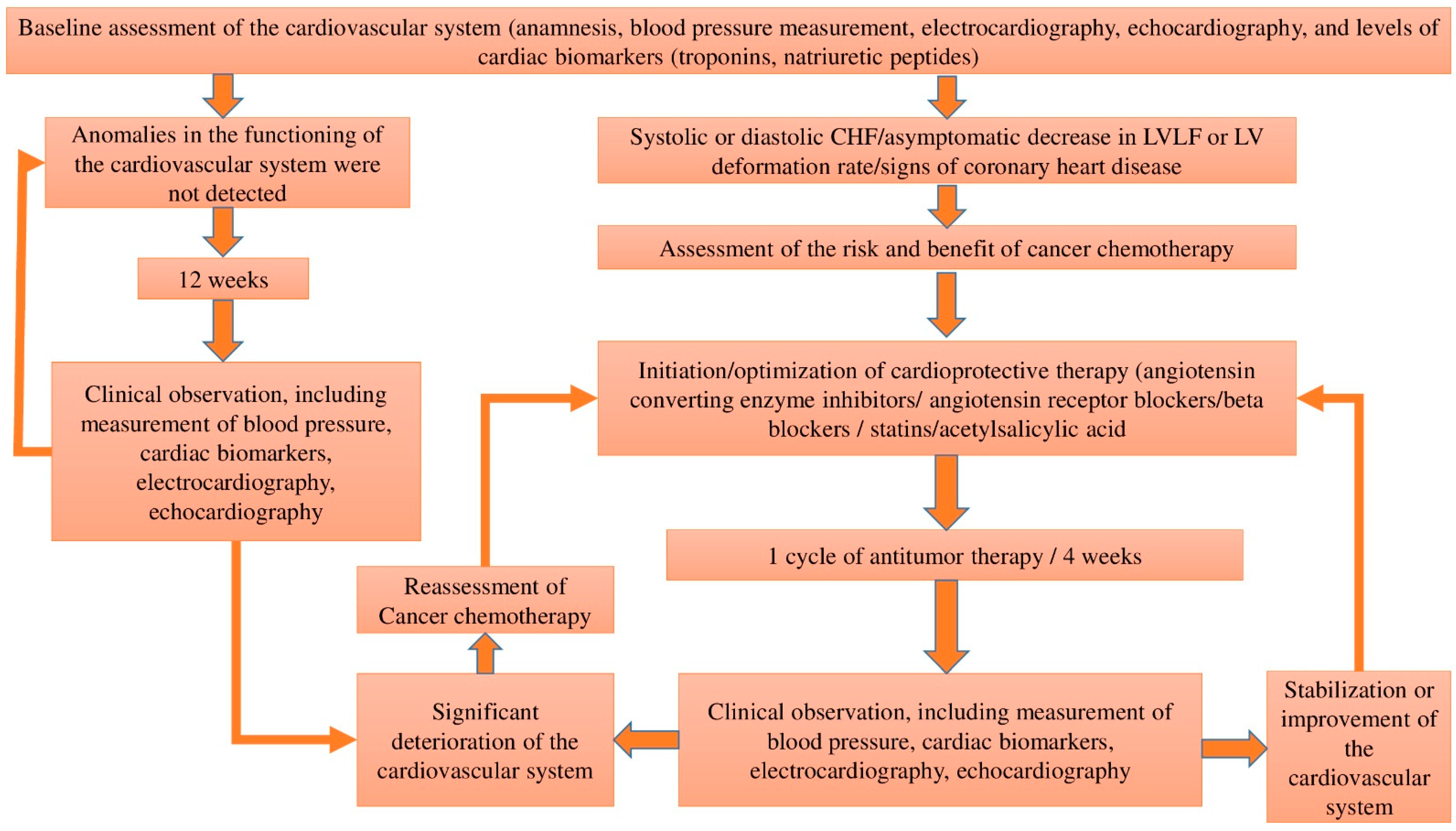 The Essential Strategies to Mitigate Cardiotoxicity Caused by ...