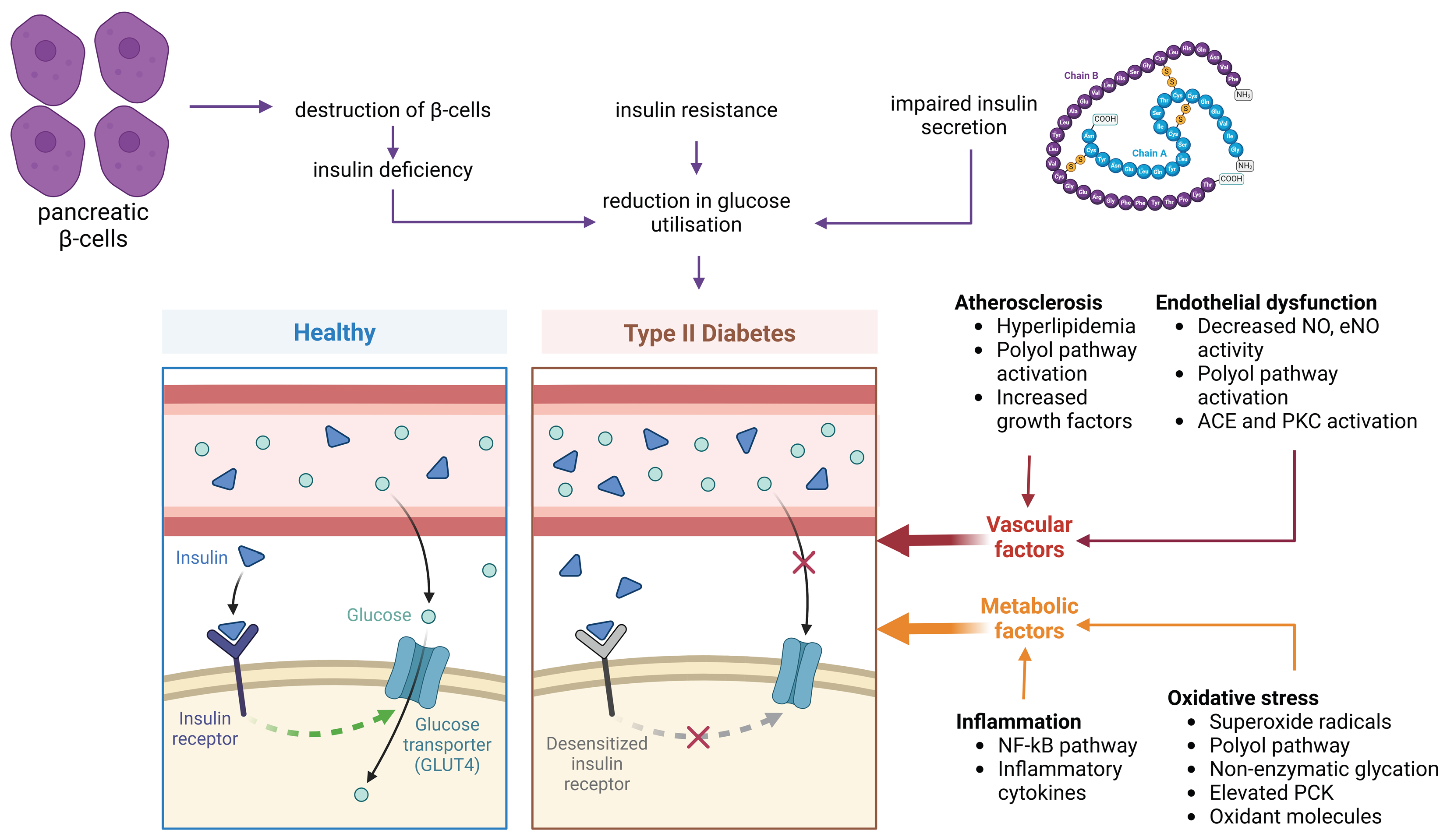 The Interplay Between Obesity and Type 2 Diabetes: Common ...