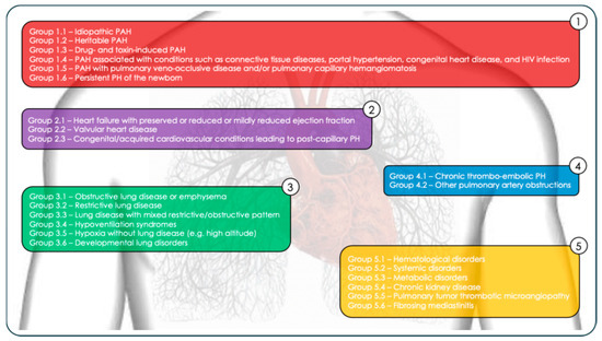 Pulmonary Hypertension: Let’s Take Stock! | MDPI