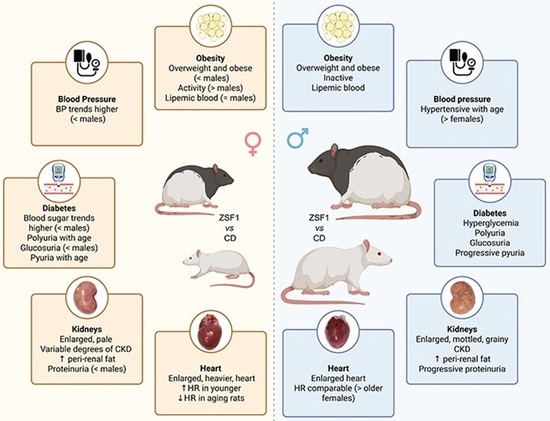 An Overview of Sex-Based Differences in the Onset and Progression of ...