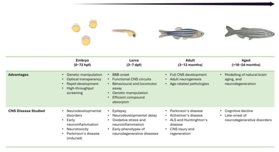 Zebrafish as an Integrative Model for Central Nervous System Research ...