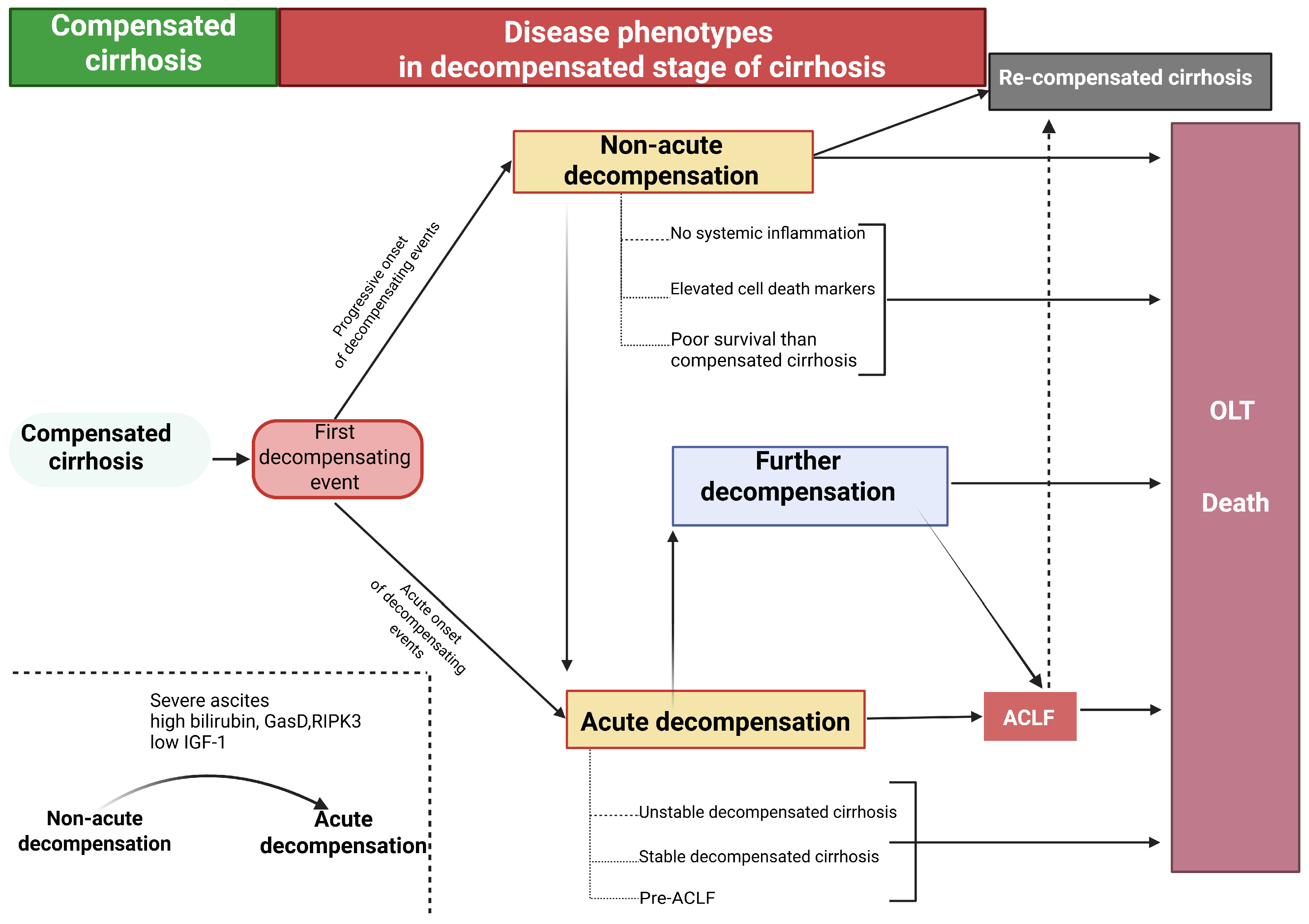 Liver Cirrhosis: Evolving Definitions, and Recent Advances in Diagnosis ...