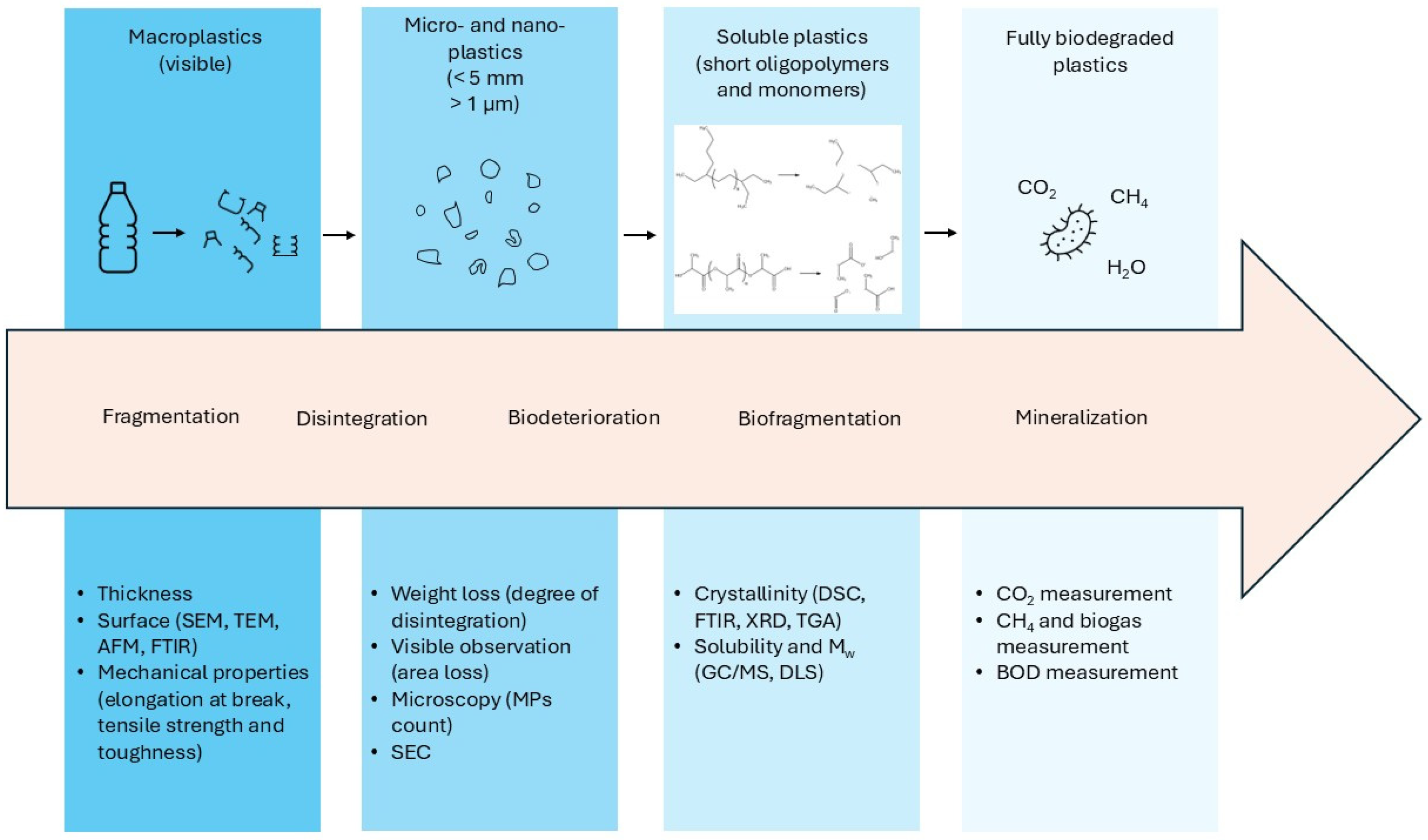Biodegradable Microplastics: Environmental Fate and Persistence in ...