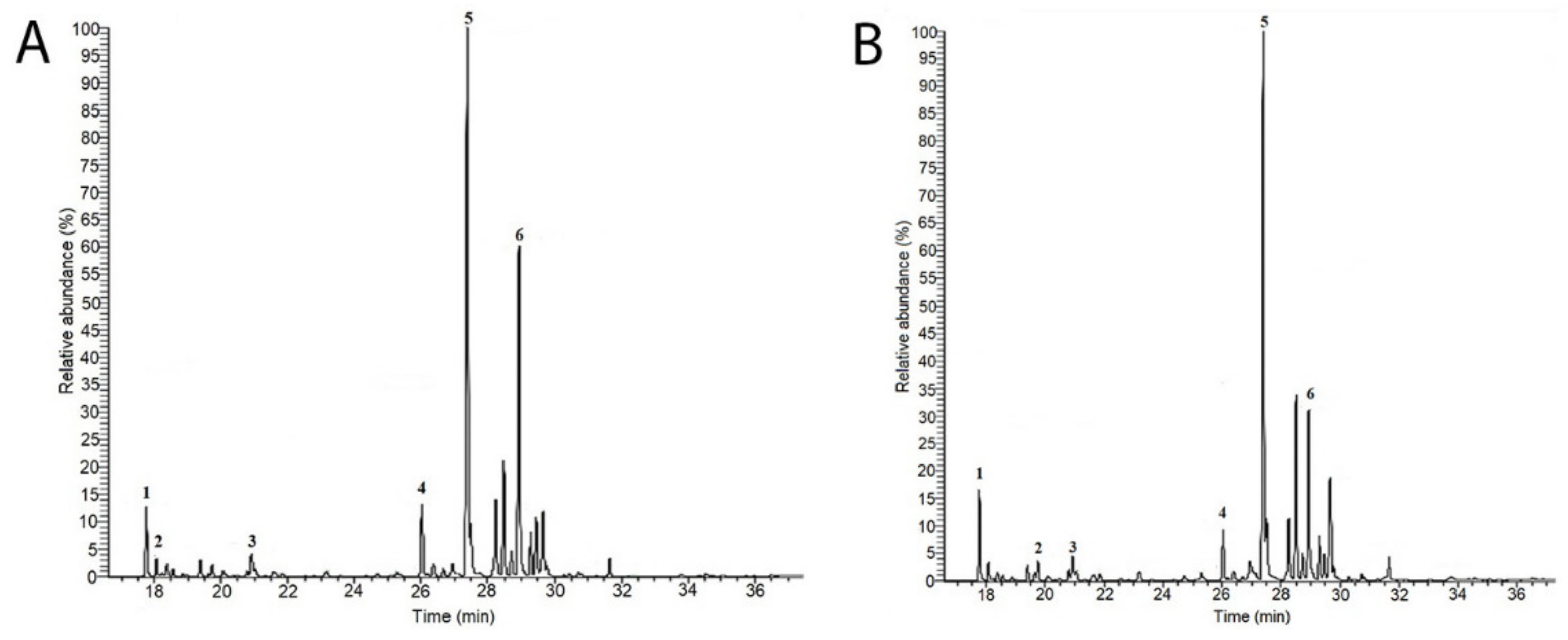 Sulfated Polysaccharide Extracted from the Green Algae Codium bernabei ...