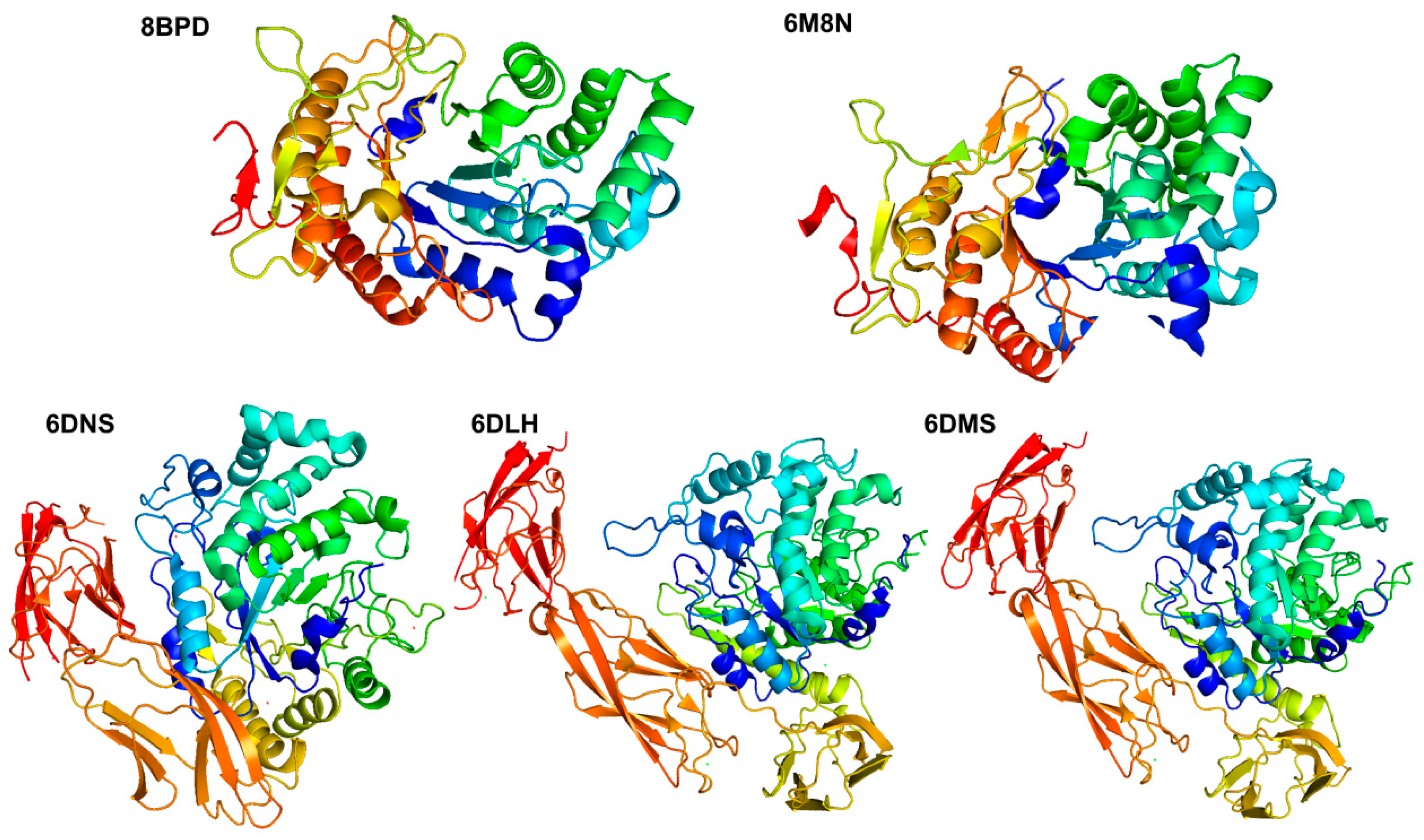 The Origin, Properties, Structure, Catalytic Mechanism, and ...
