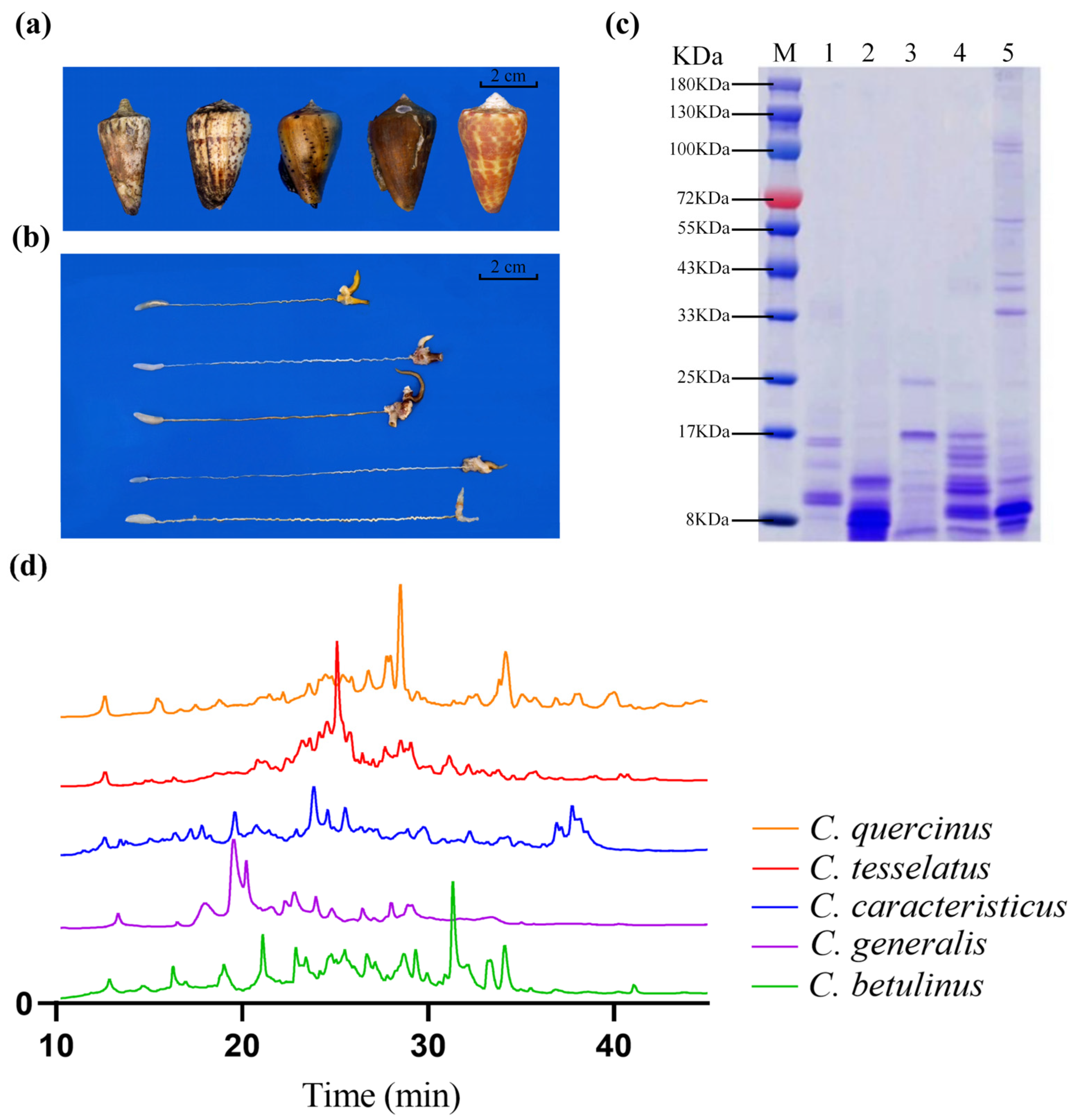 Fingerprint Analysis and Comparison of Activity Differences of Crude ...