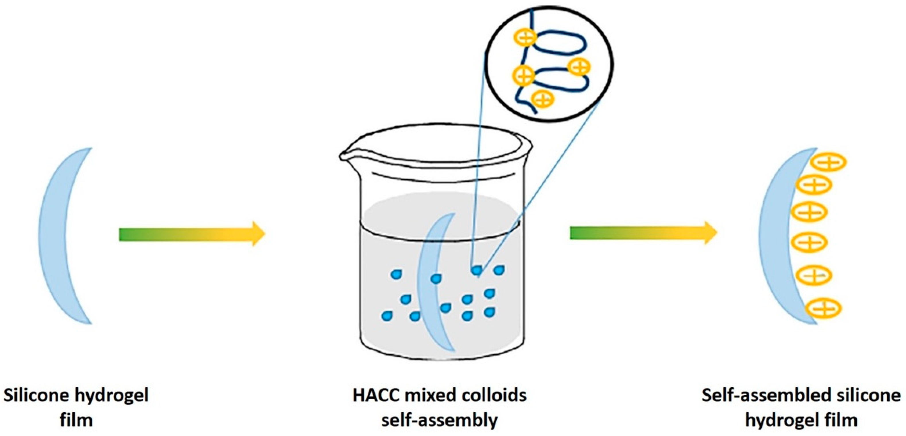 Contact Lens Materials: A Materials Science Perspective | MDPI