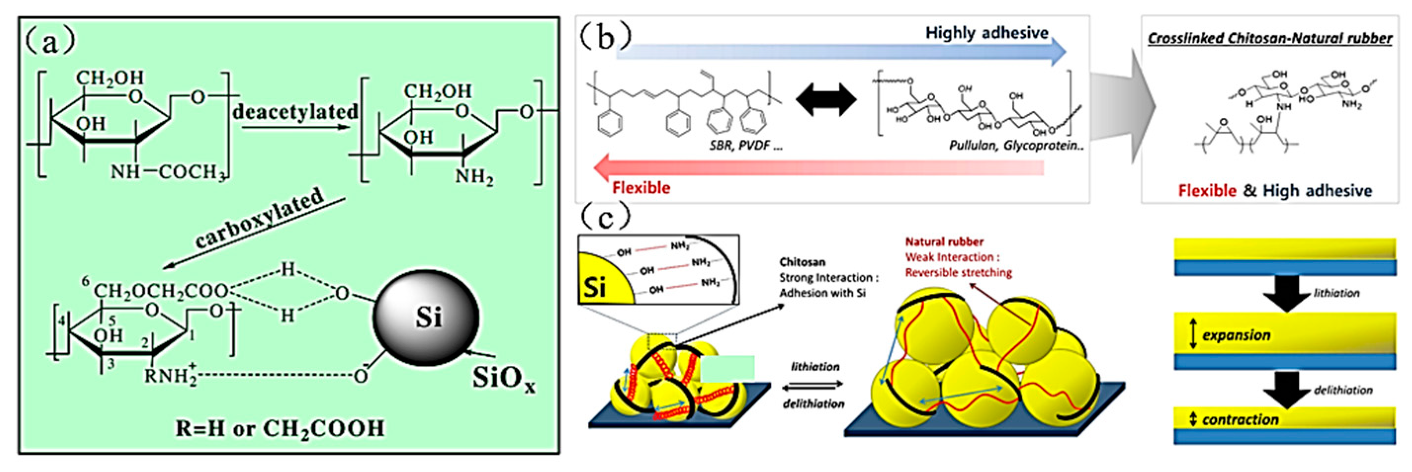 Application and Development of Silicon Anode Binders for Lithium-Ion ...