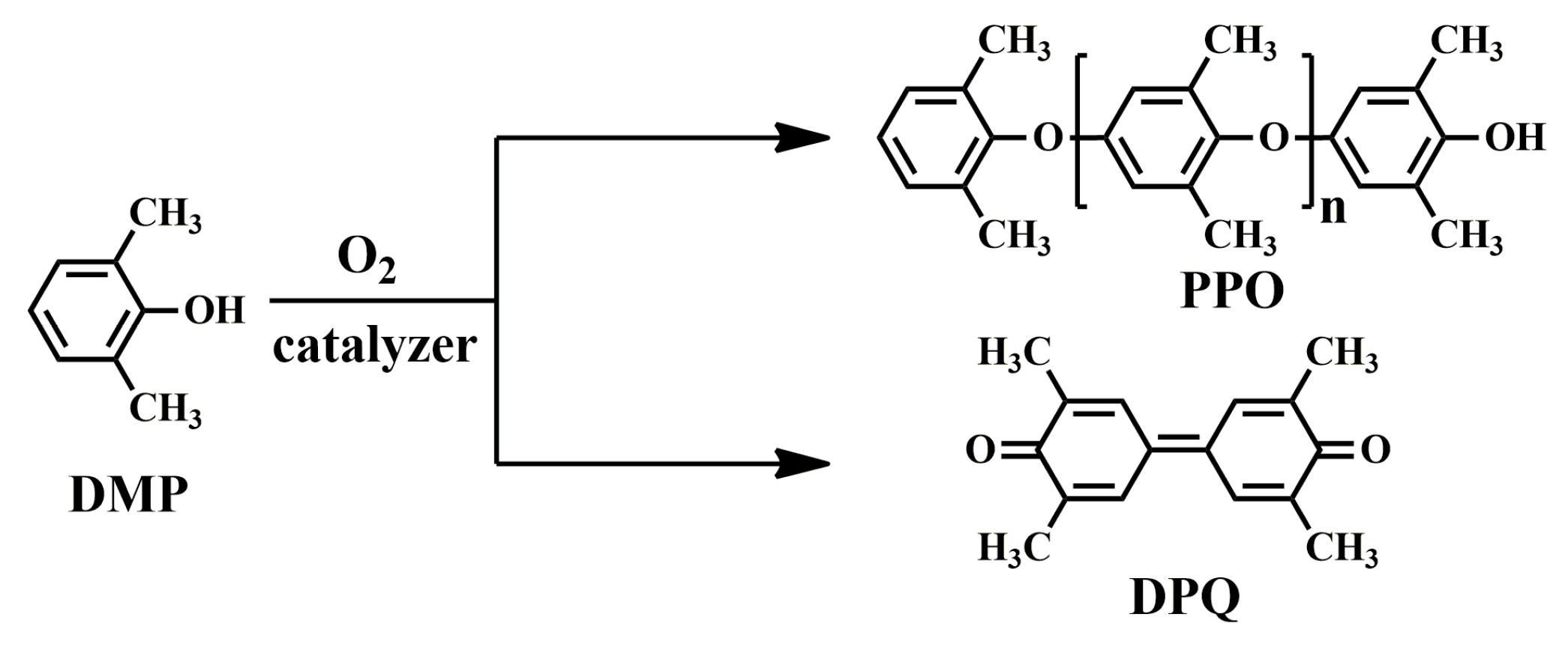 Recent Progress in Modification of Polyphenylene Oxide for Application ...