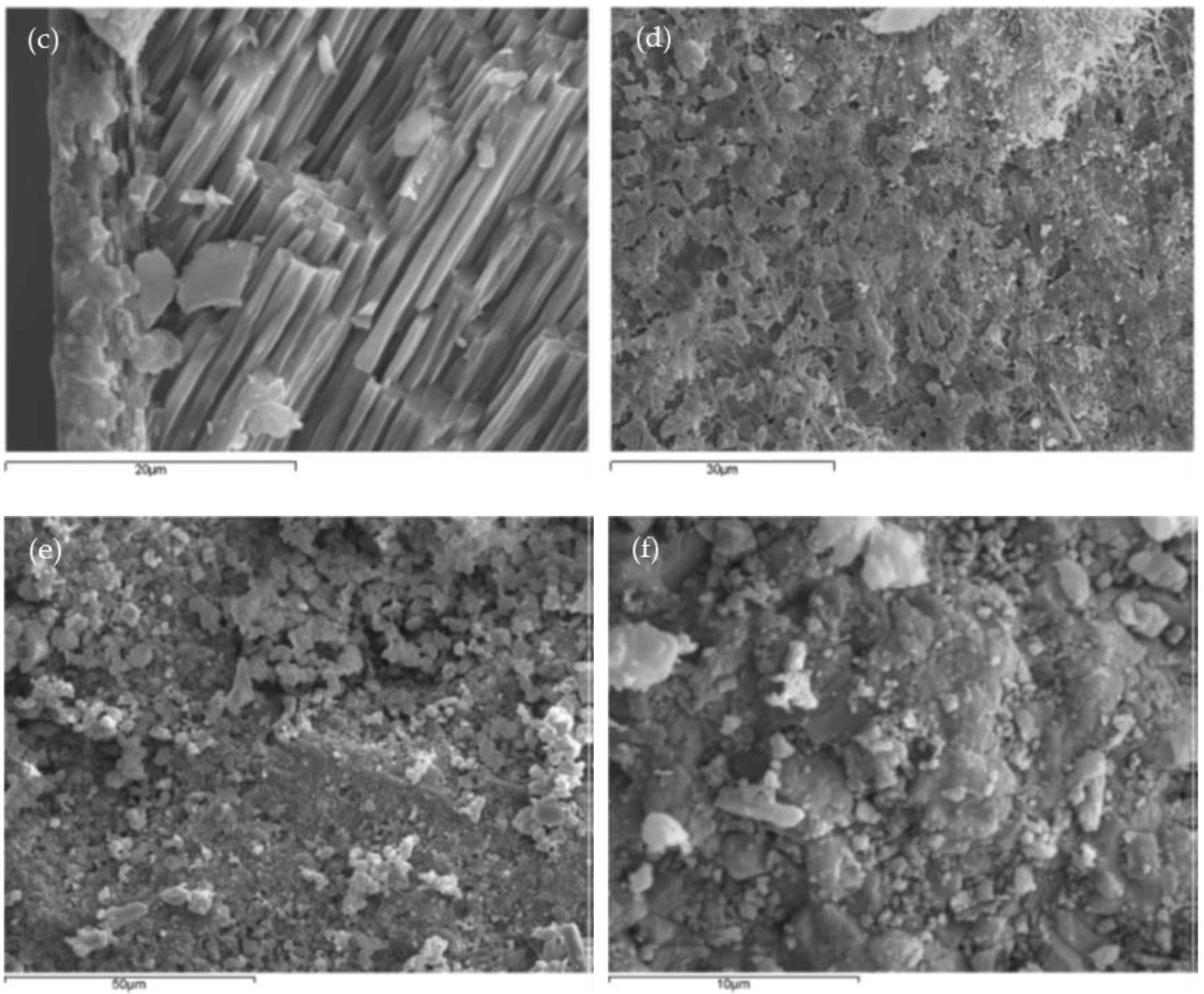 Properties of Cementitious Materials Utilizing Seashells as Aggregate ...