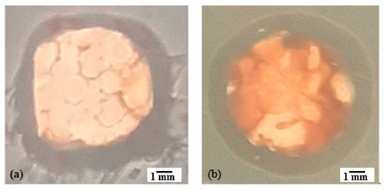 Composite Nanoarchitectonics of Electrospun Piezoelectric PVDF/AgNPs ...