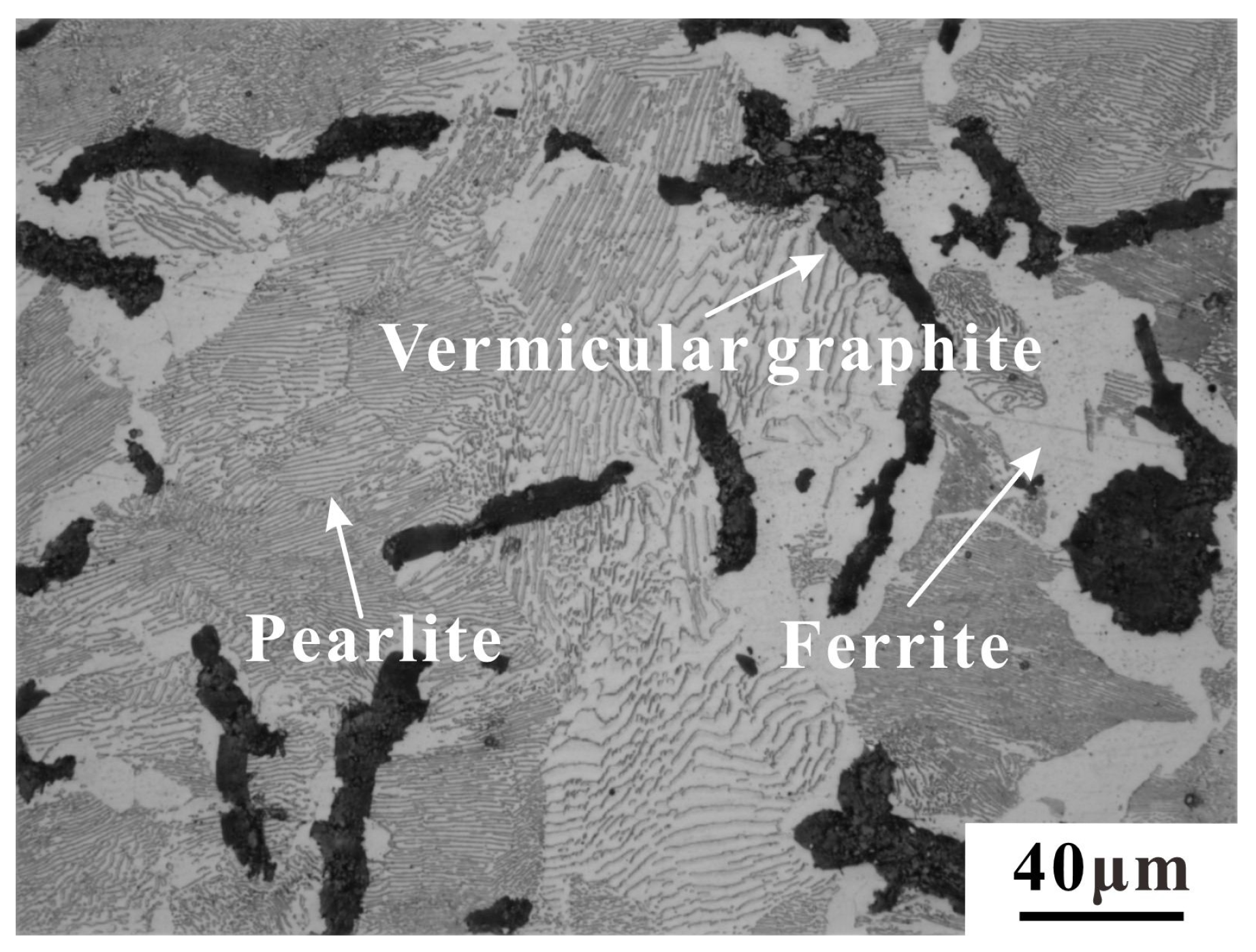 Low-Cycle Fatigue Damage Mechanism and Life Prediction of High-Strength ...