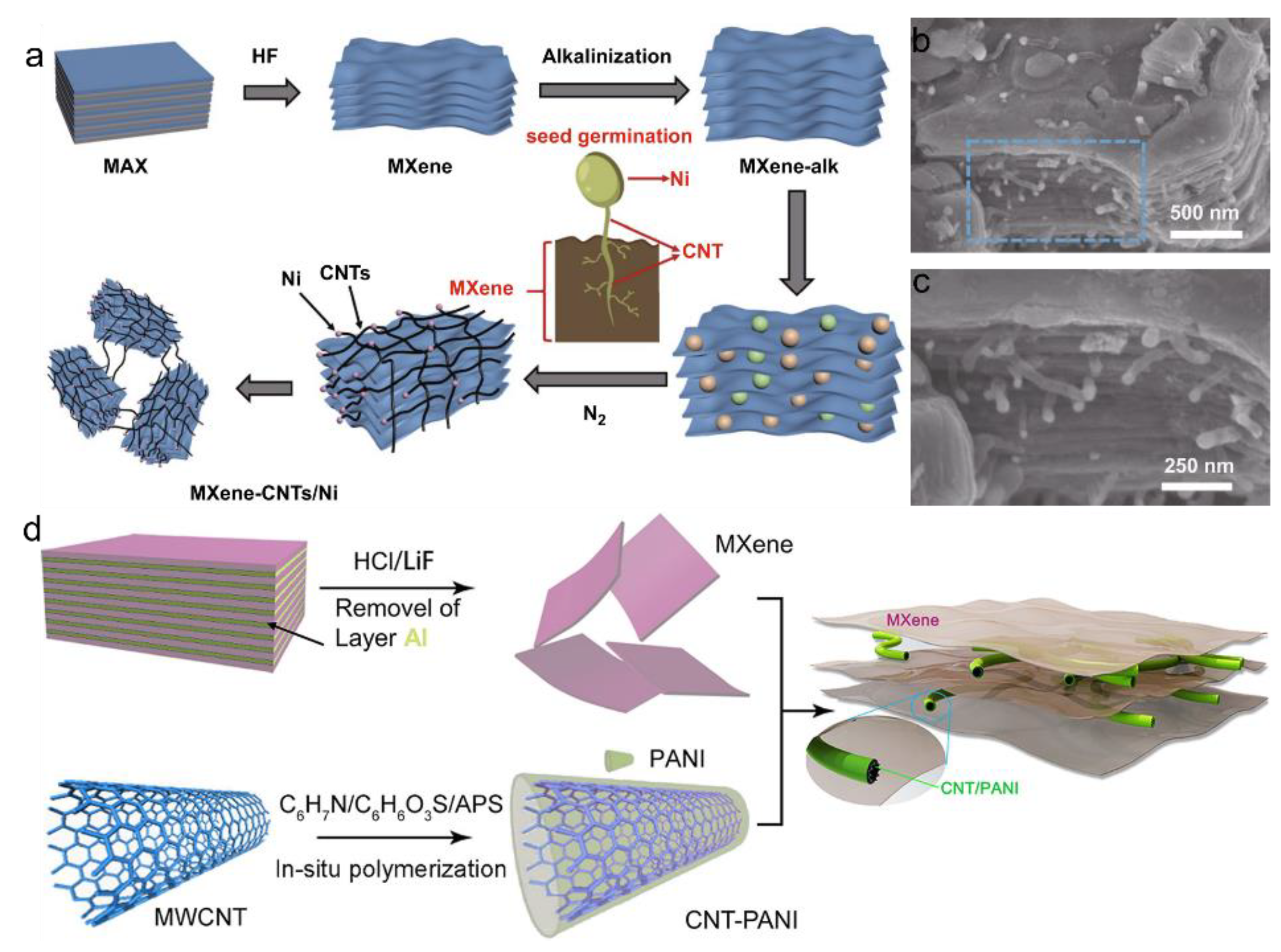 Progress in Surface and Interface Modification Strategies of MXene ...