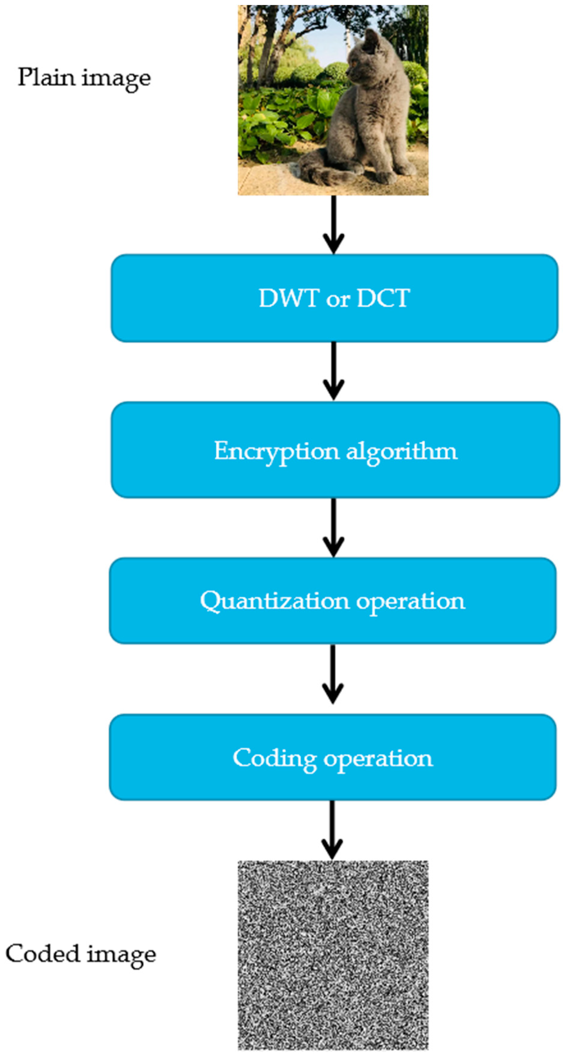 Chaos-Based Image Encryption: Review, Application, and Challenges | MDPI