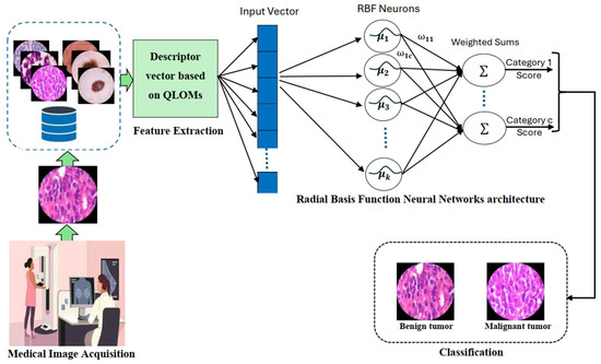 Efficient Biomedical Image Recognition Using Radial Basis Function ...