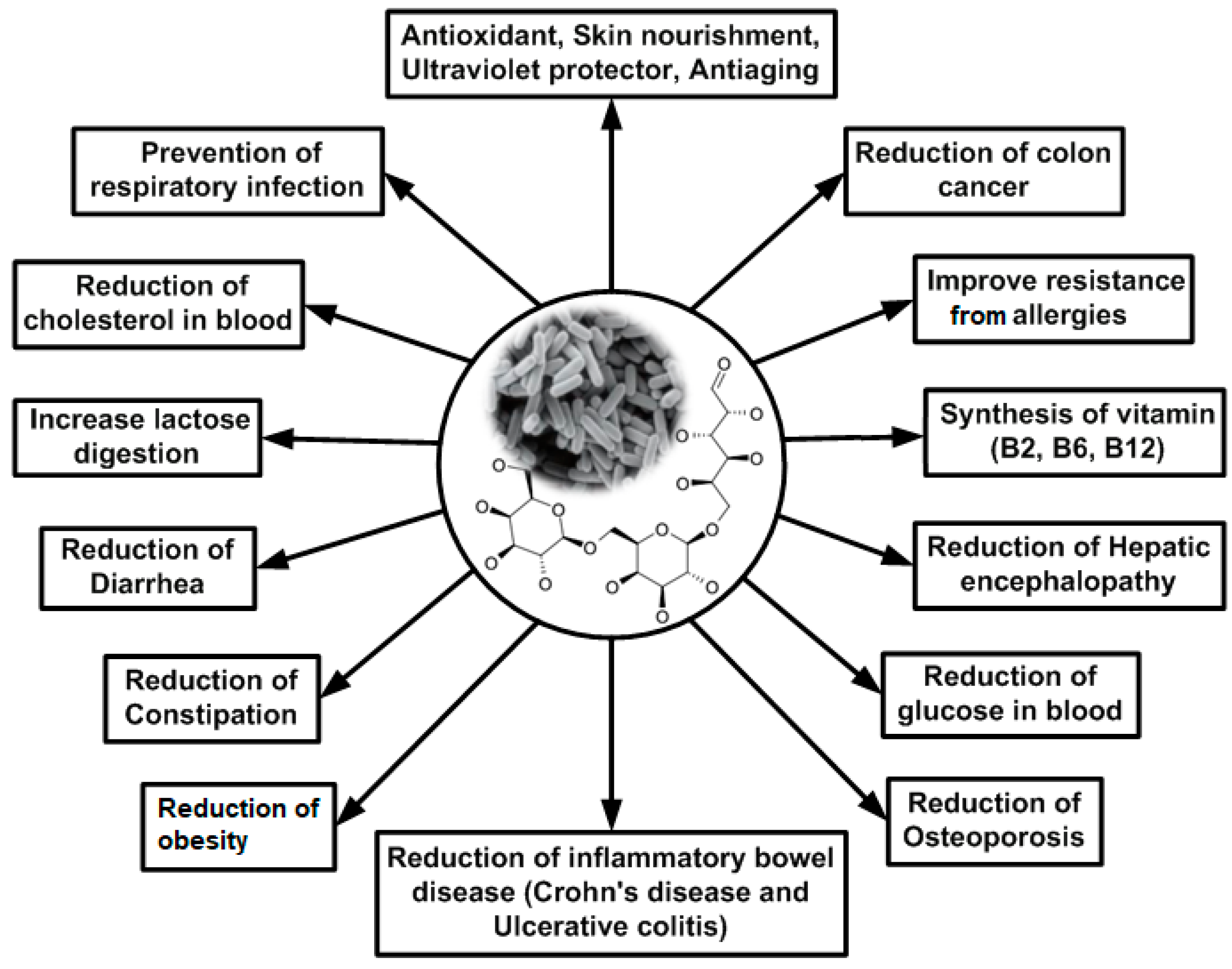 Biological Activities of Lactose-Based Prebiotics and Symbiosis with ...