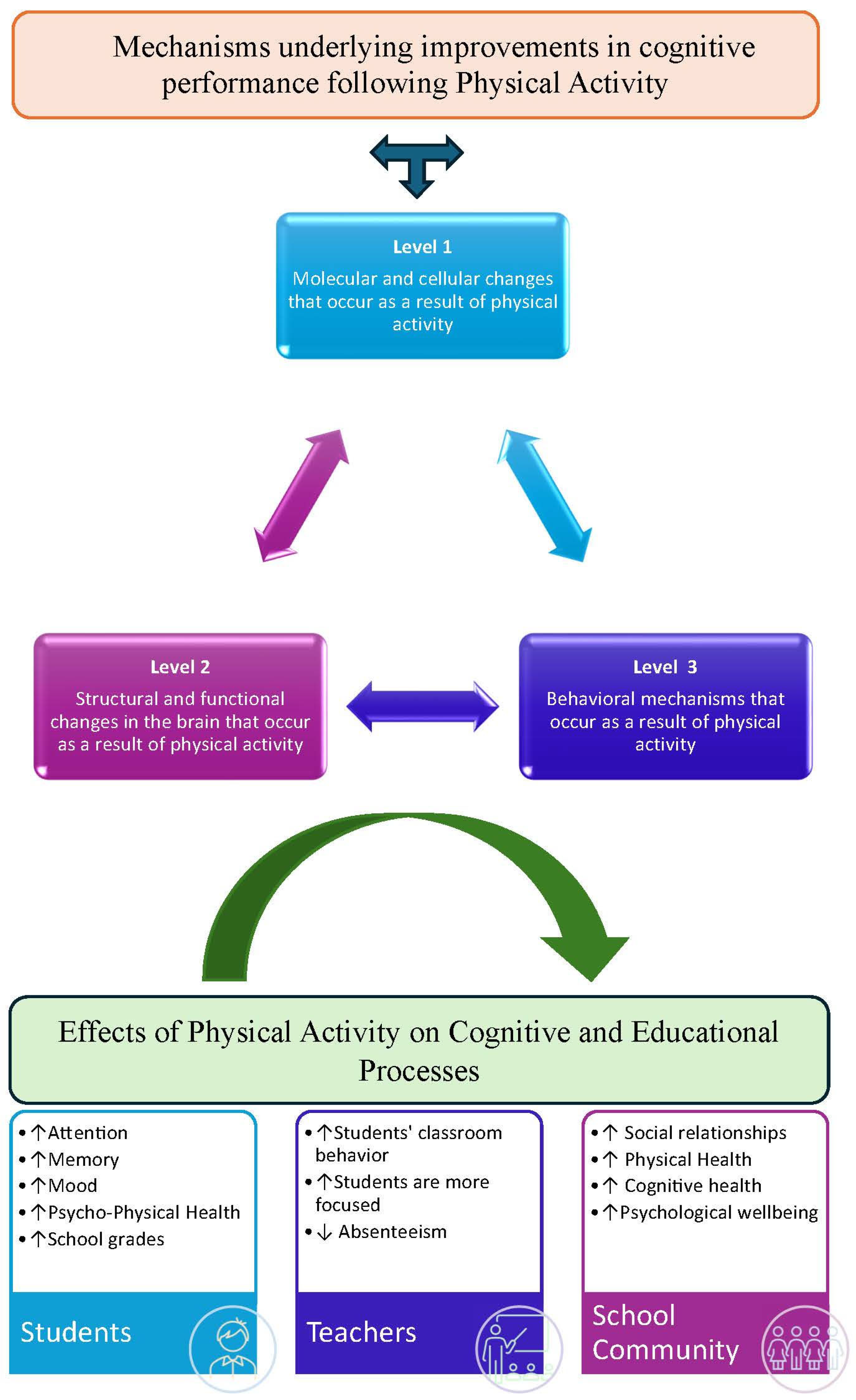 Physical Activity and Cognitive Functioning | MDPI